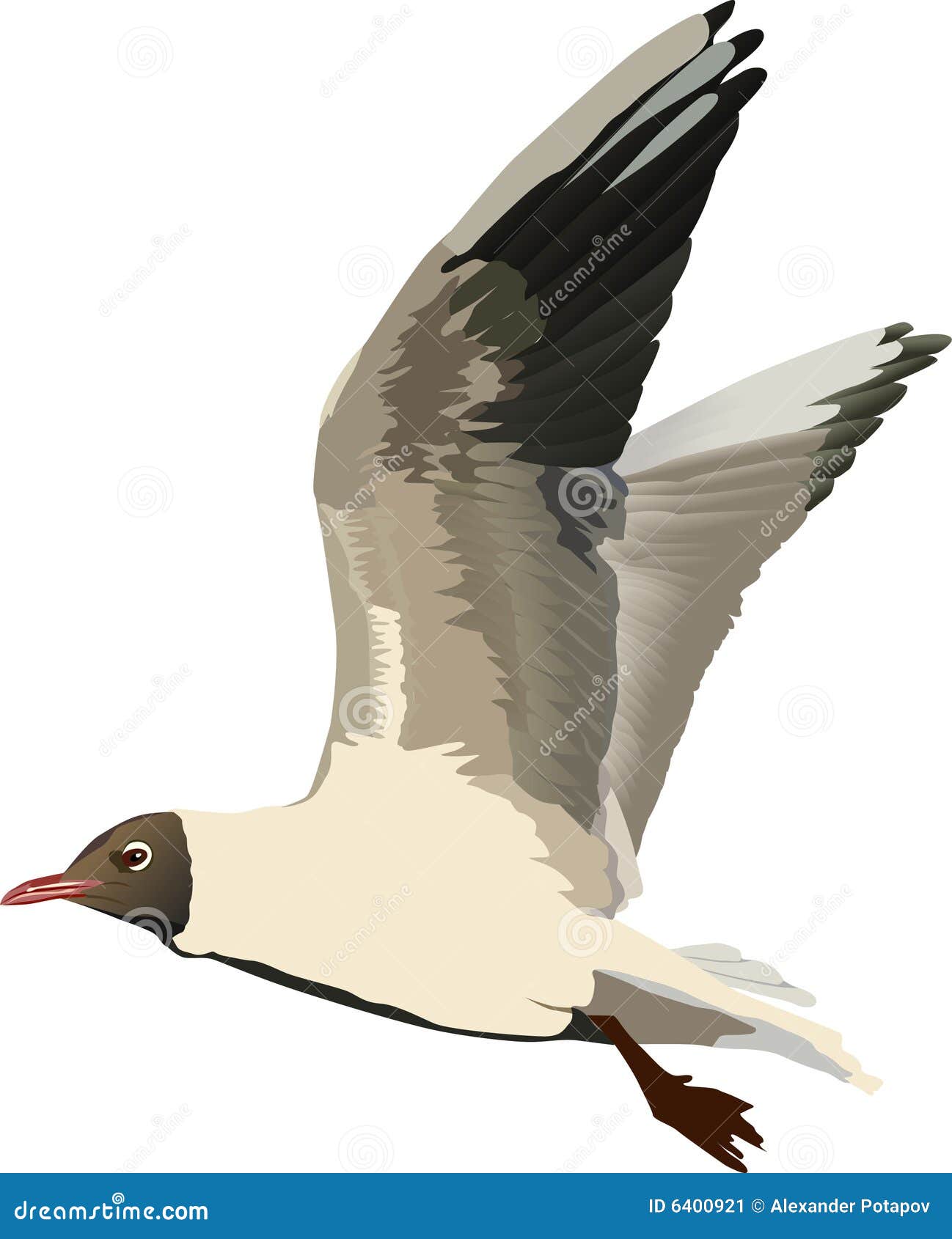 Illustration with gull stock illustration. Illustration of seagull ...