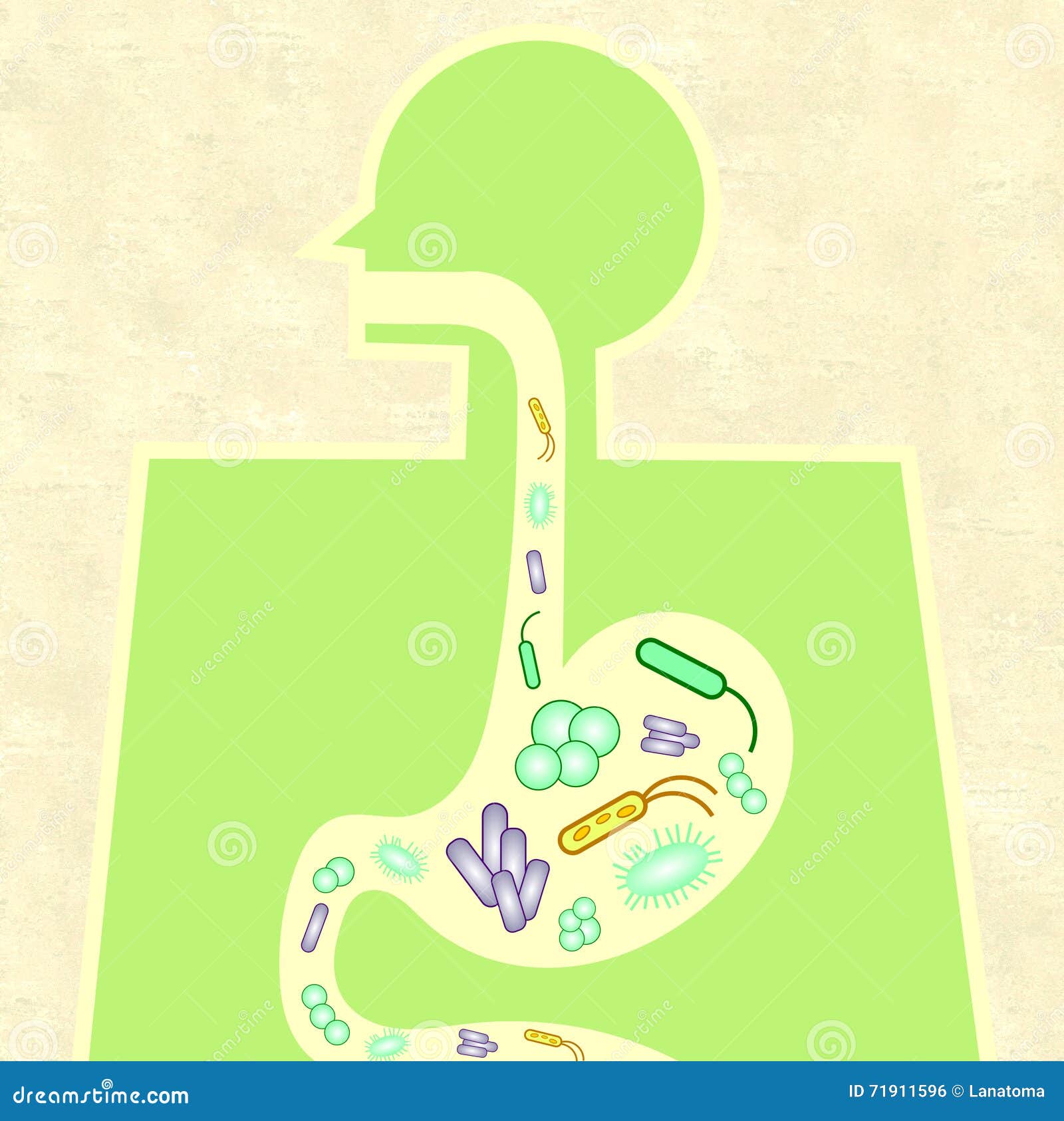 Microbiome Cartoons, Illustrations & Vector Stock Images - 1252 ...