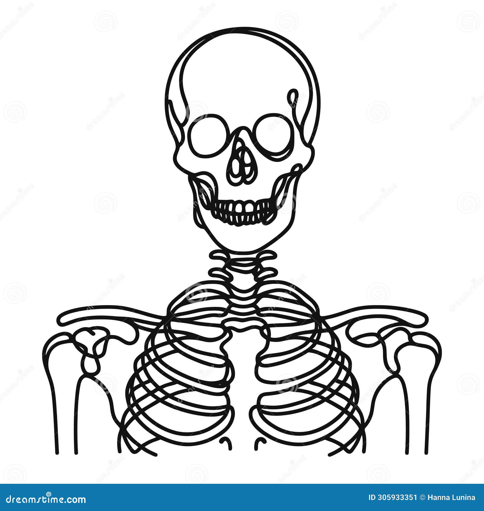 Illustration of Half of a Human Skeleton. One Line Drawing of a Human ...
