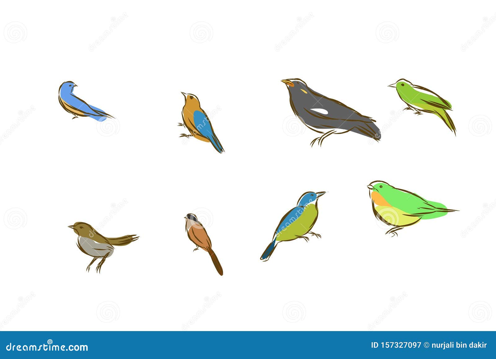 Illustration and Hand Drawn of Beautiful Bird Set Pattern Background ...