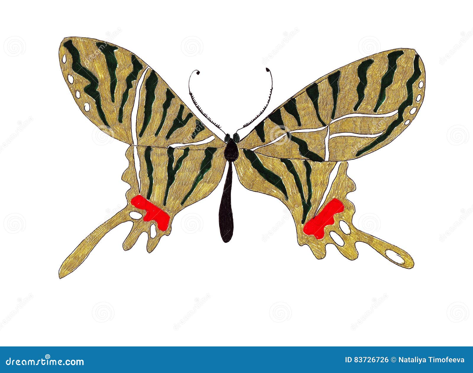 Illustration Hand-drawn Butterflies of Different Patterns Stock ...