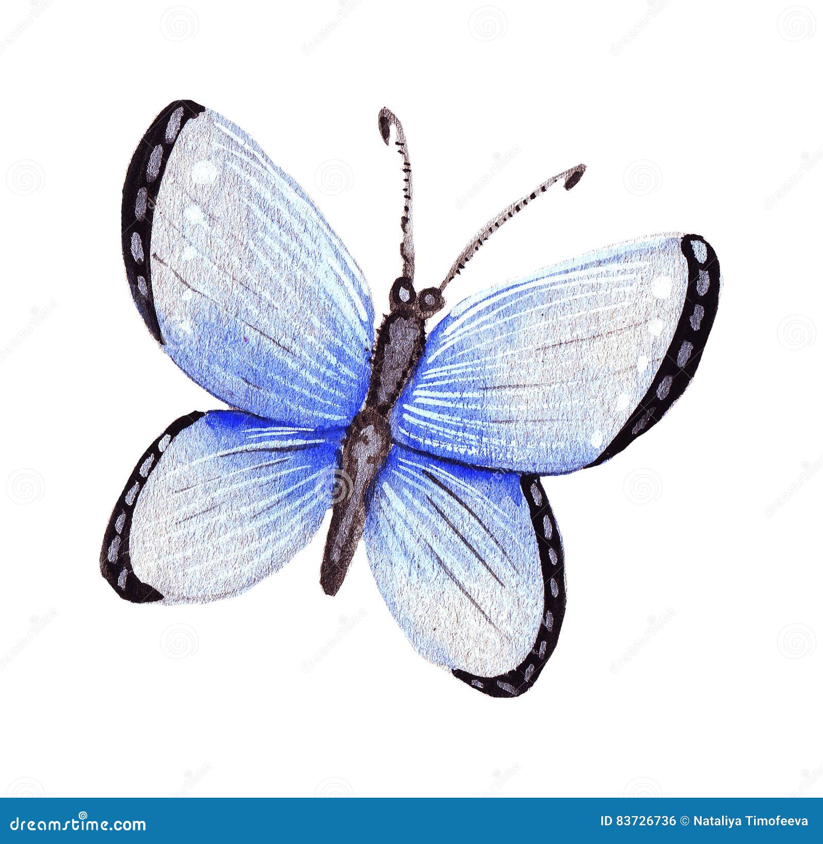 Illustration Hand-drawn Butterflies of Different Patterns Stock ...