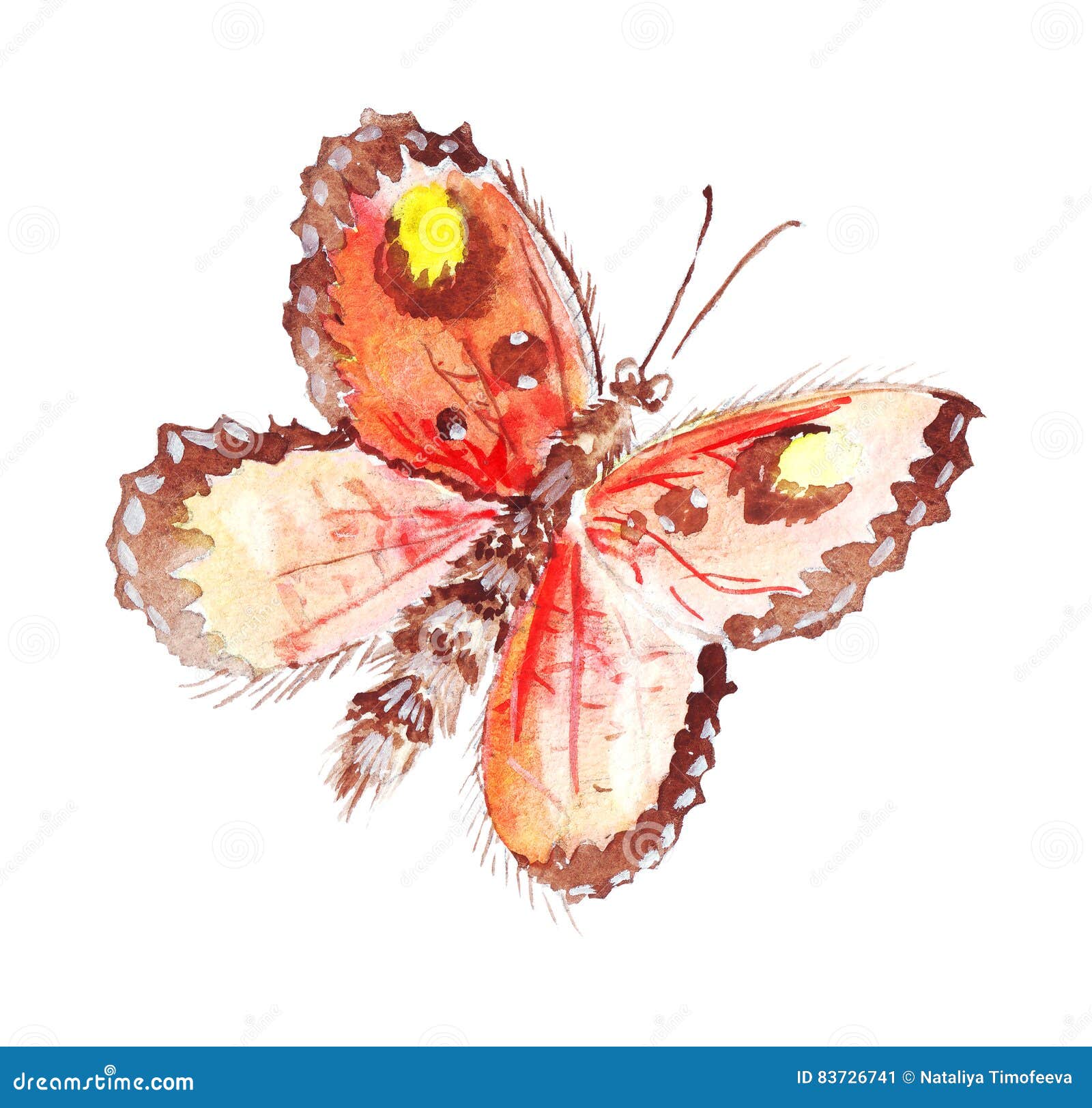 Illustration Hand-drawn Butterflies of Different Patterns Stock ...