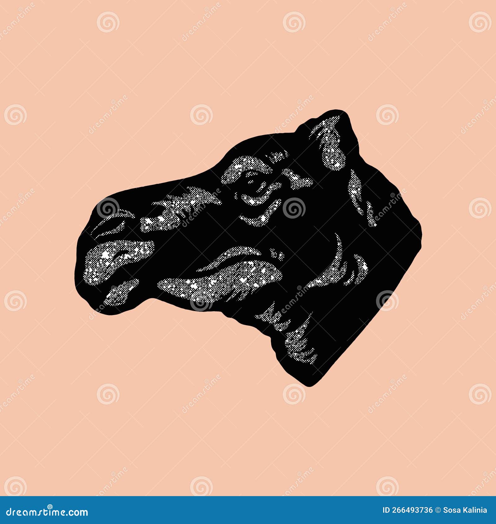 Illustration of a Hand-drawn Close-up Camel Face with Shading Stock ...