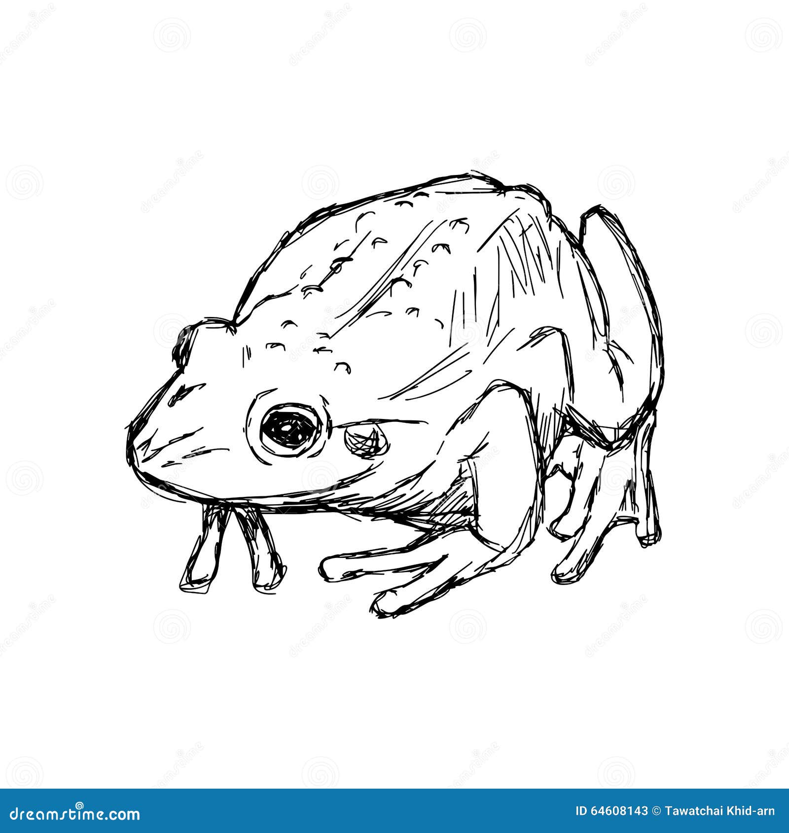 Illustration Hand Drawn Doodle Toad on White. Stock Illustration ...