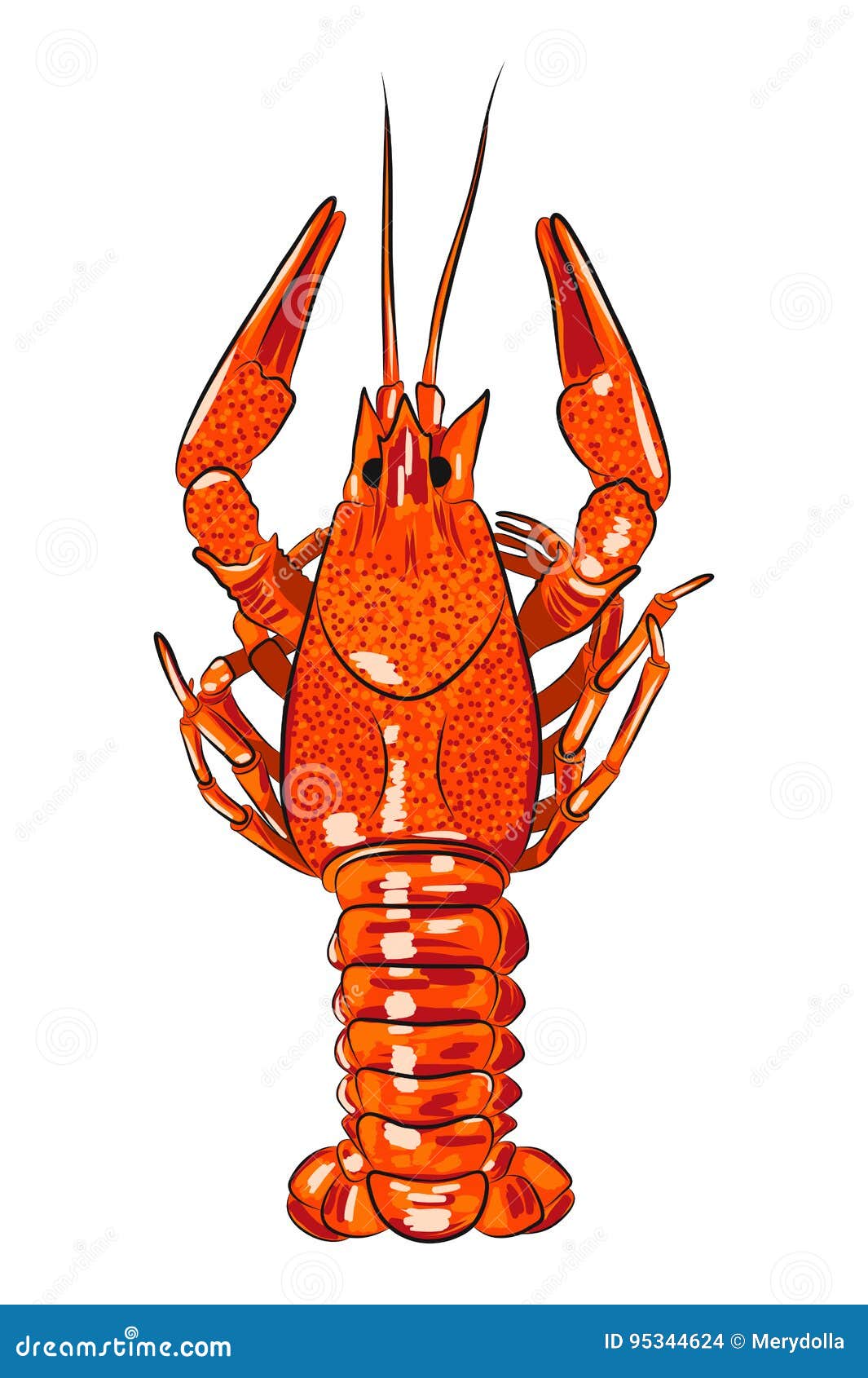 Illustration of Hand-drawn Realistic Glossy Crawfish Stock Illustration ...
