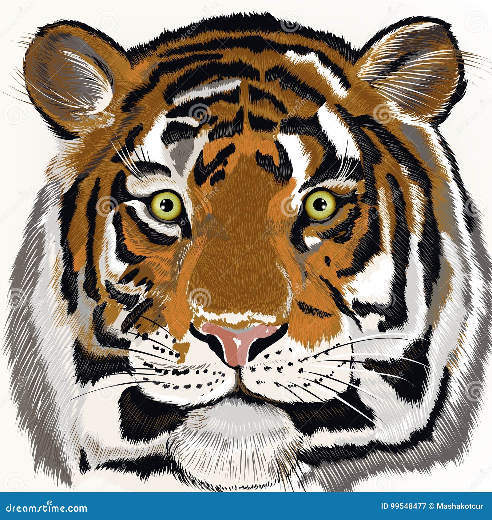 Illustration Hand Drawn Tiger Stock Vector - Illustration of ...