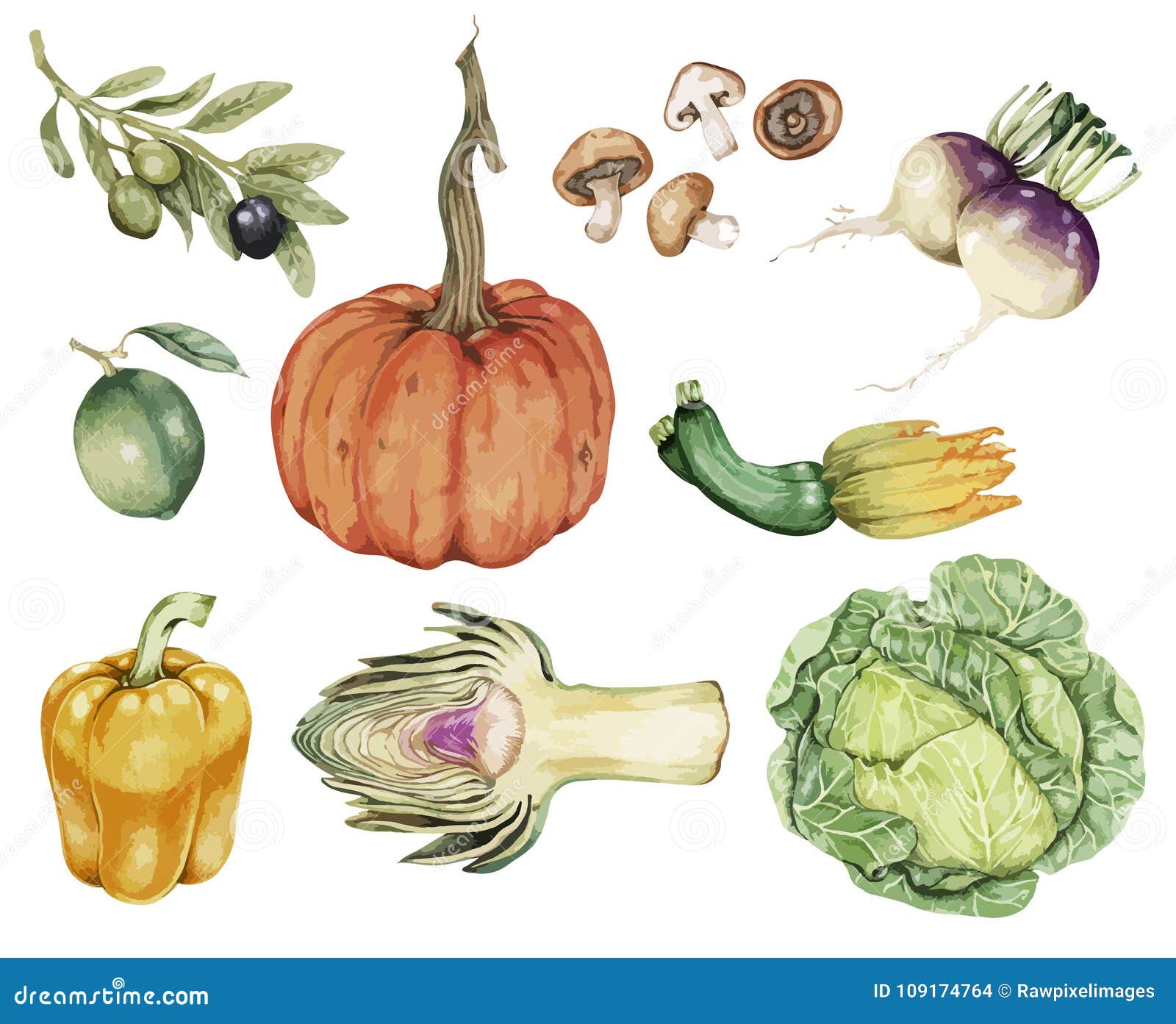 Illustration of Hand Drawn Vegetable Collection Stock Illustration ...