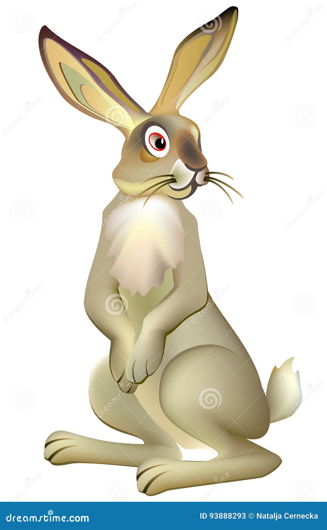 Hare White Background