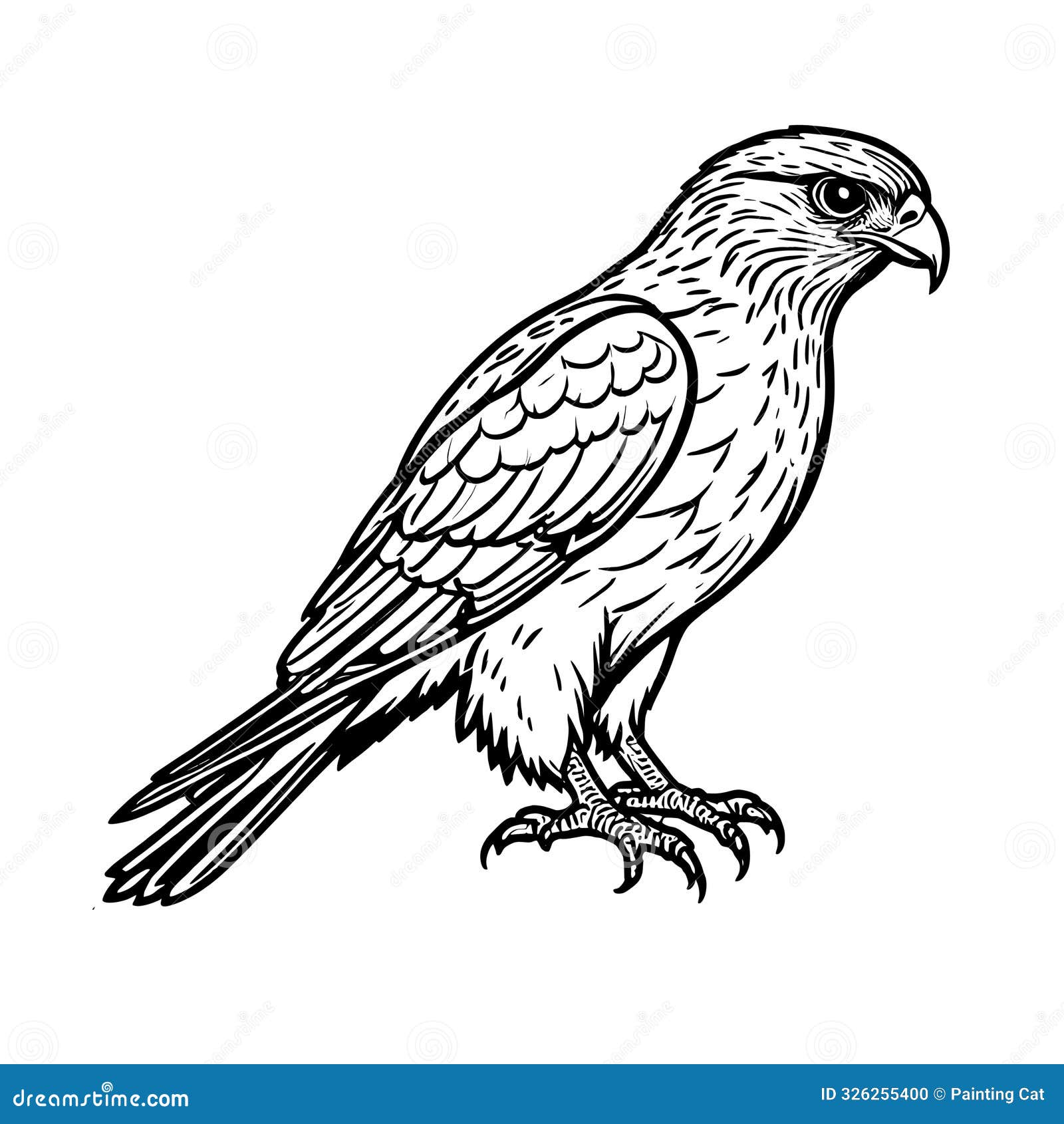 Featuring Hawk Icon in Simple Line Art Style Stock Vector ...