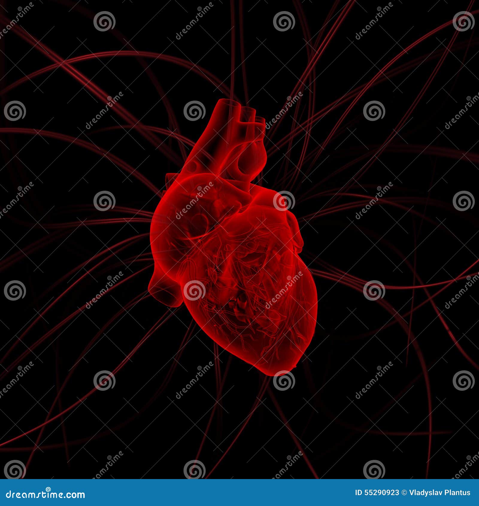 Illustration of Heart with Impulses Stock Illustration - Illustration ...