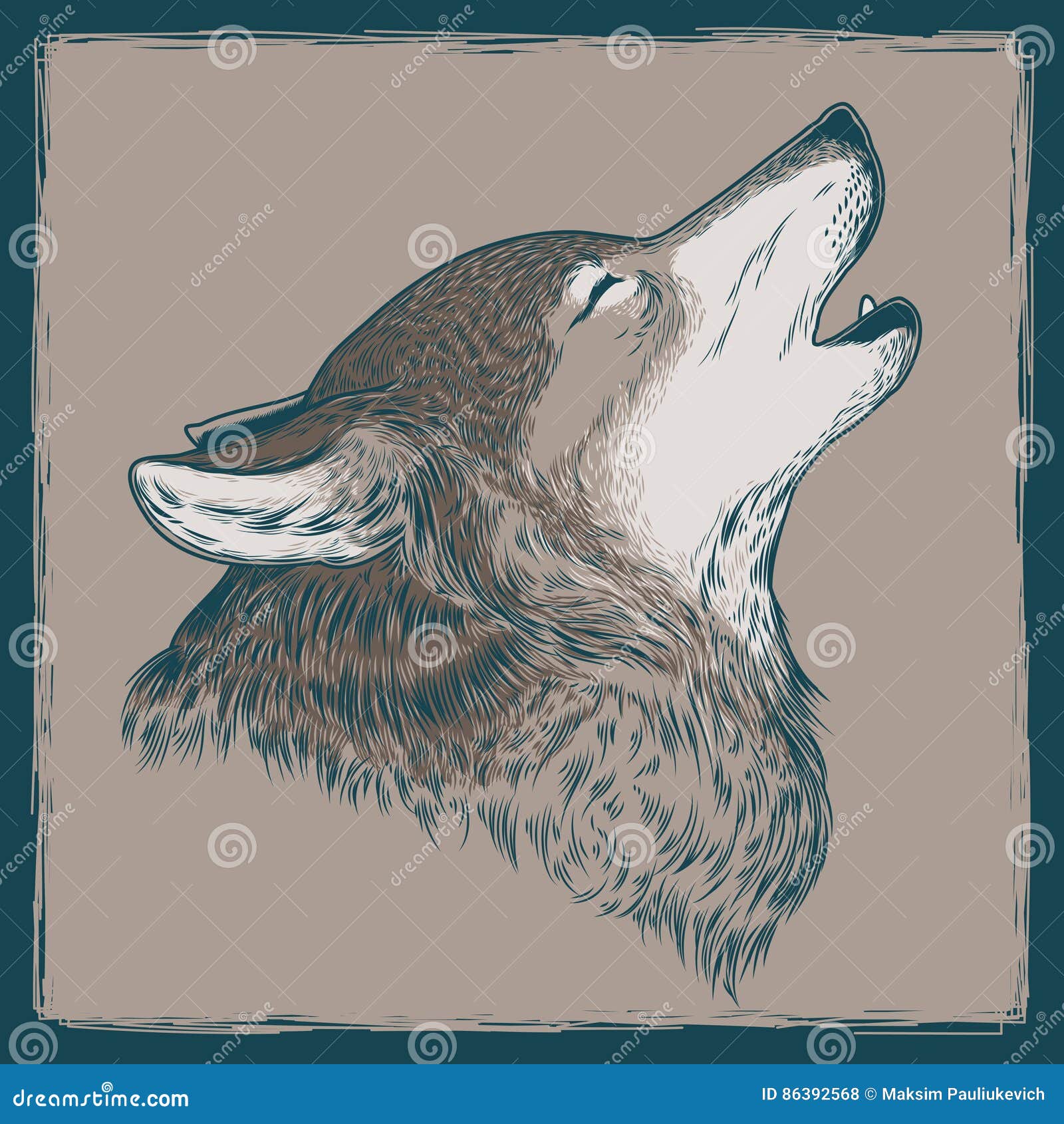 Illustration of a Howling Wolf Stock Illustration - Illustration of ...
