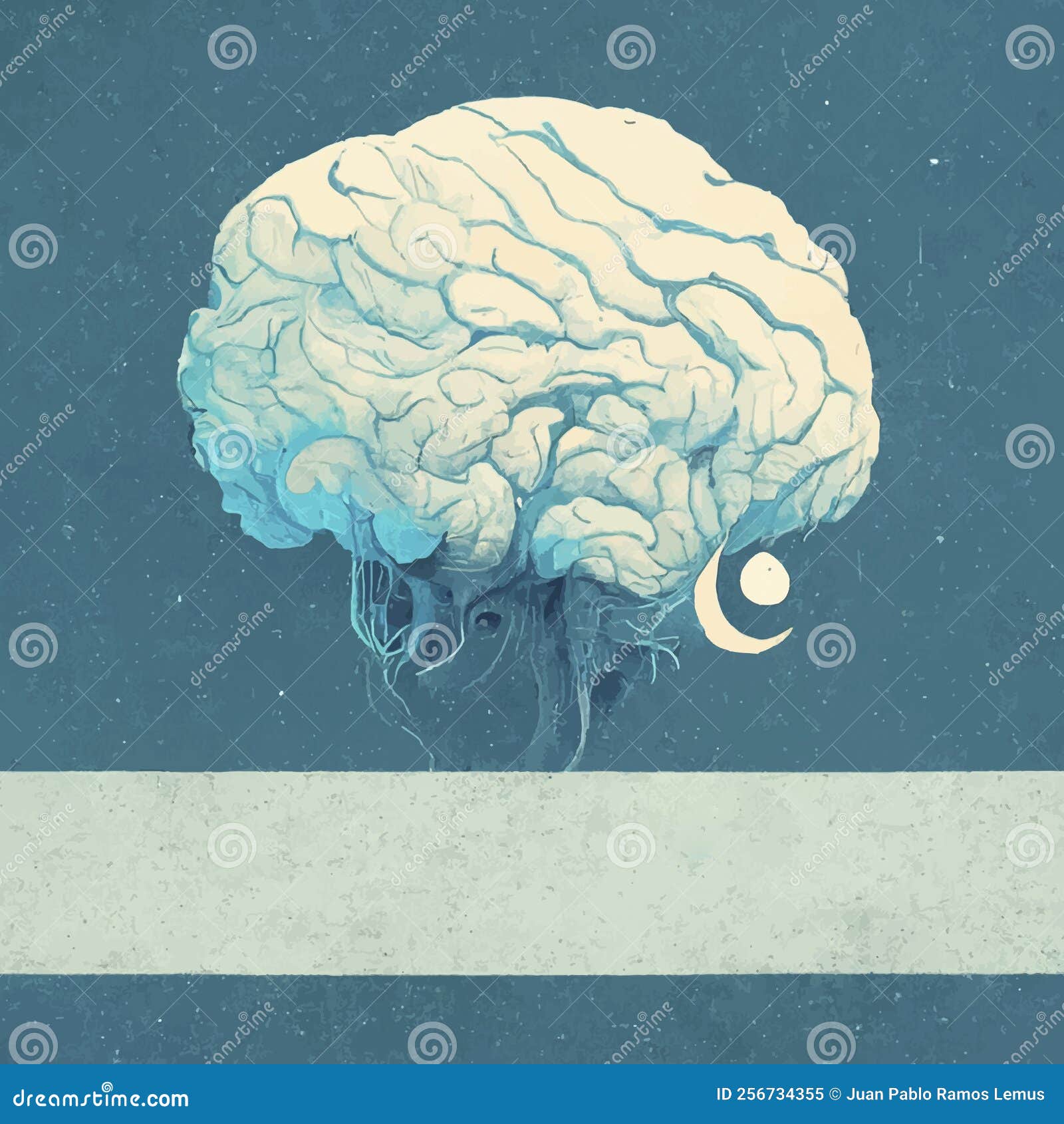 Illustration of the Human Brain. Blue 2d Illustration of the Human ...