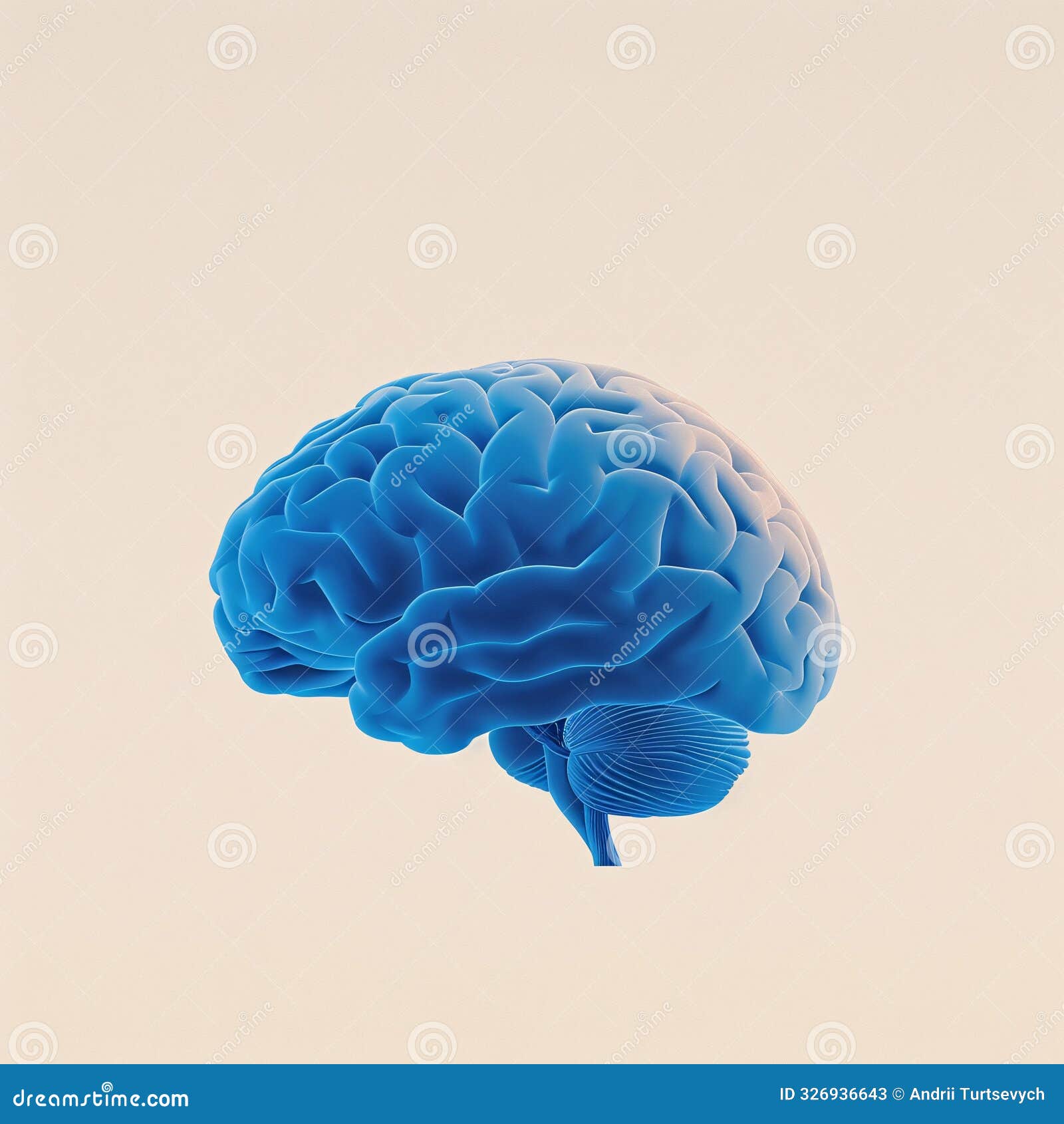 Illustration of a Human Brain in Blue Shades on a Neutral Background ...