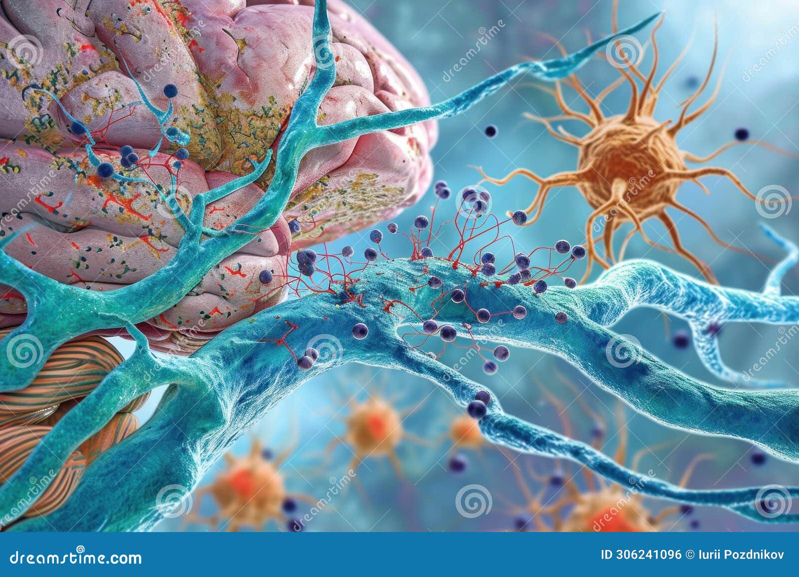 Illustration of the Human Brain and Neurons Stock Photo - Image of ...