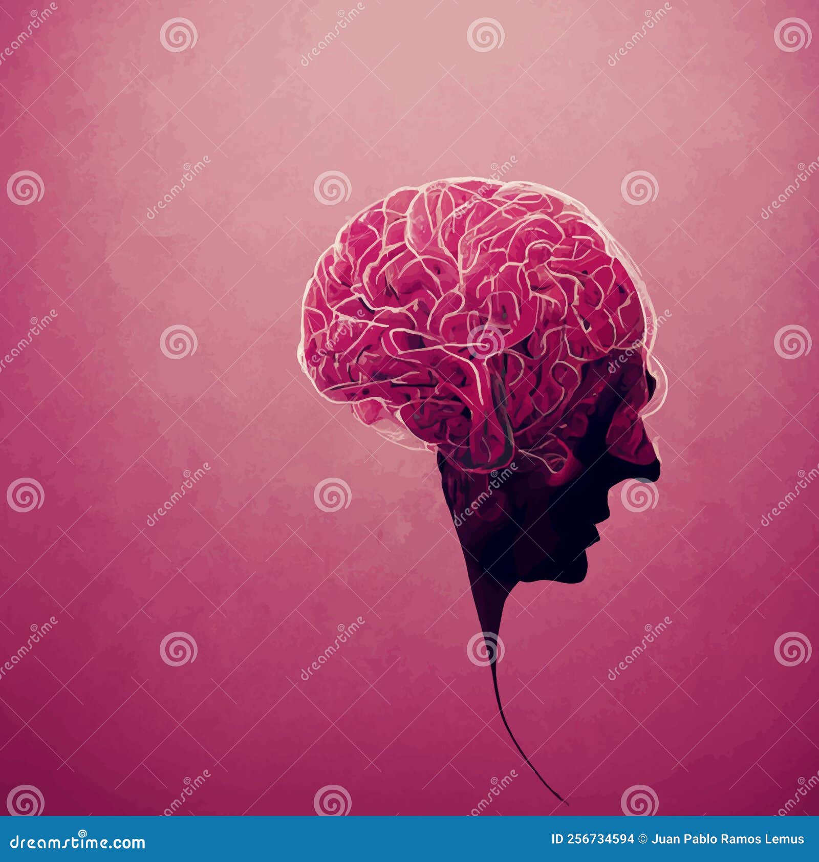 Illustration of the Human Brain. Pink 2d Illustration of the Human ...