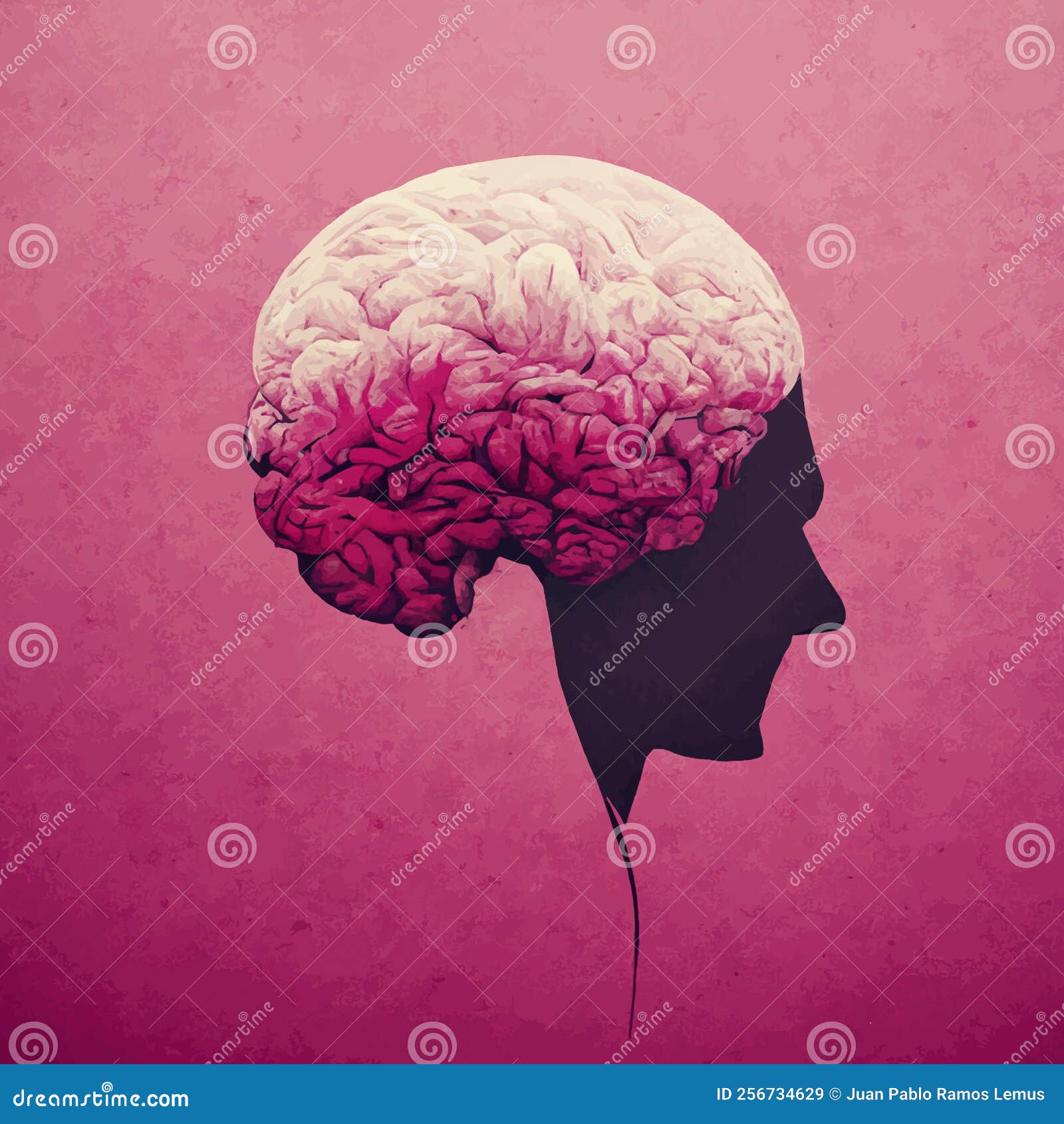 Illustration of the Human Brain. Pink 2d Illustration of the Human ...