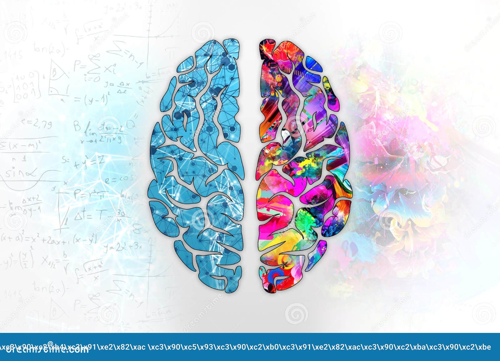 Illustration of a Human Brain, Top View. Different Halves of the Human ...