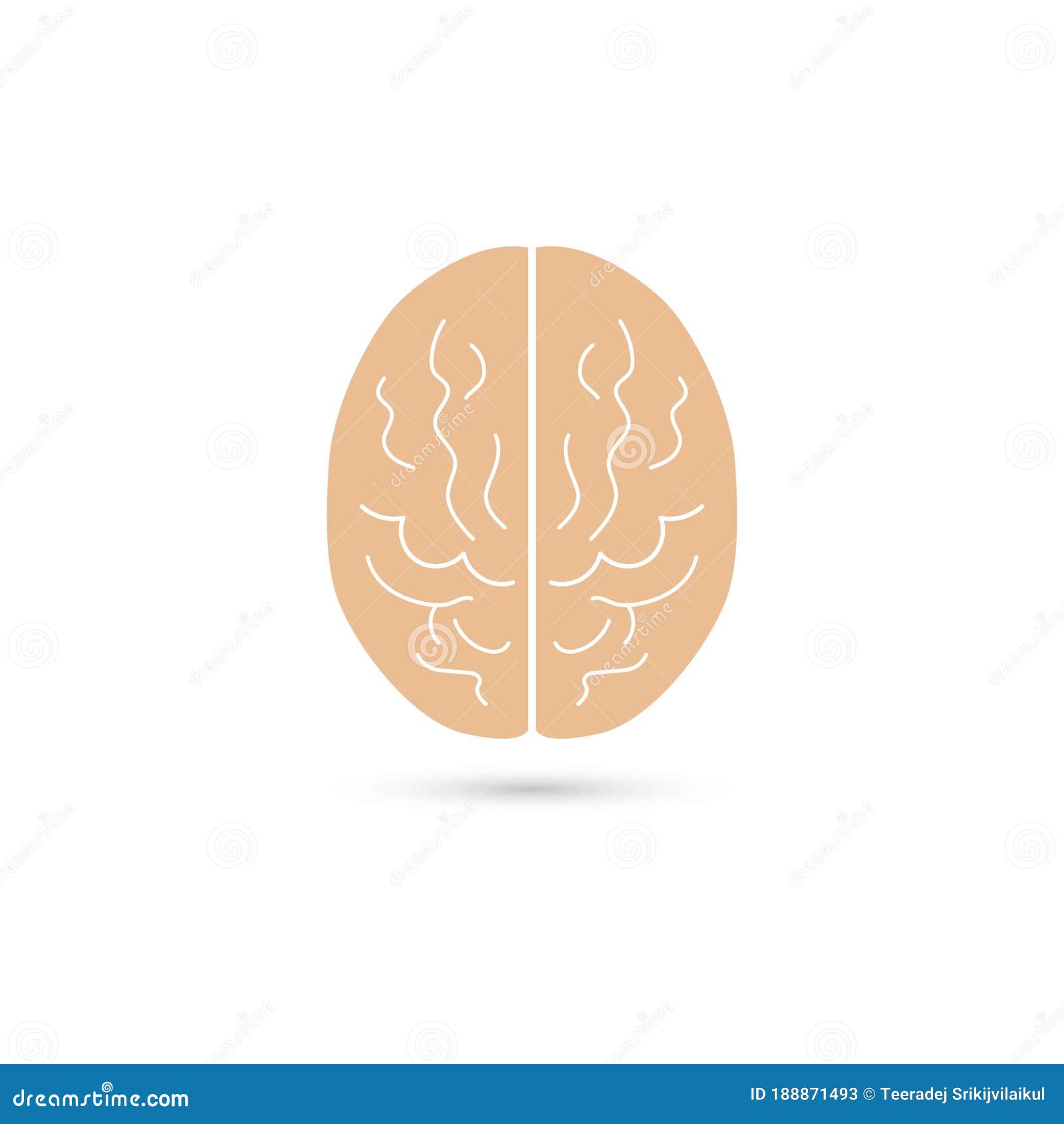 Illustration of Human Cerebral Cortex Stock Vector - Illustration of ...