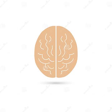 Illustration of Human Cerebral Cortex Stock Vector - Illustration of ...