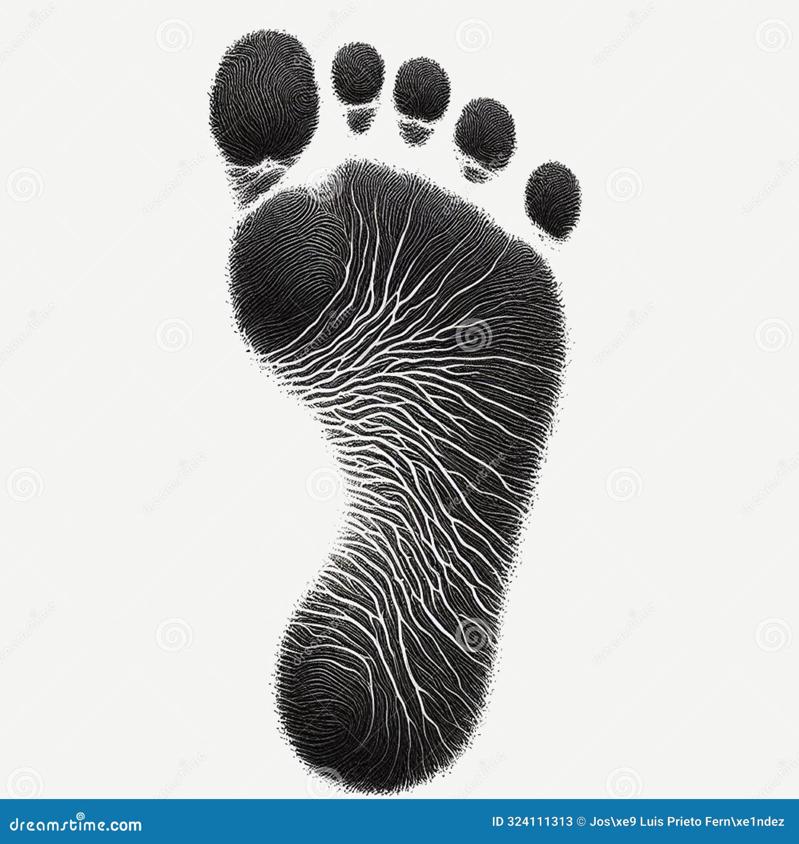 Imprint of a Human Foot on a White Background Stock Illustration ...