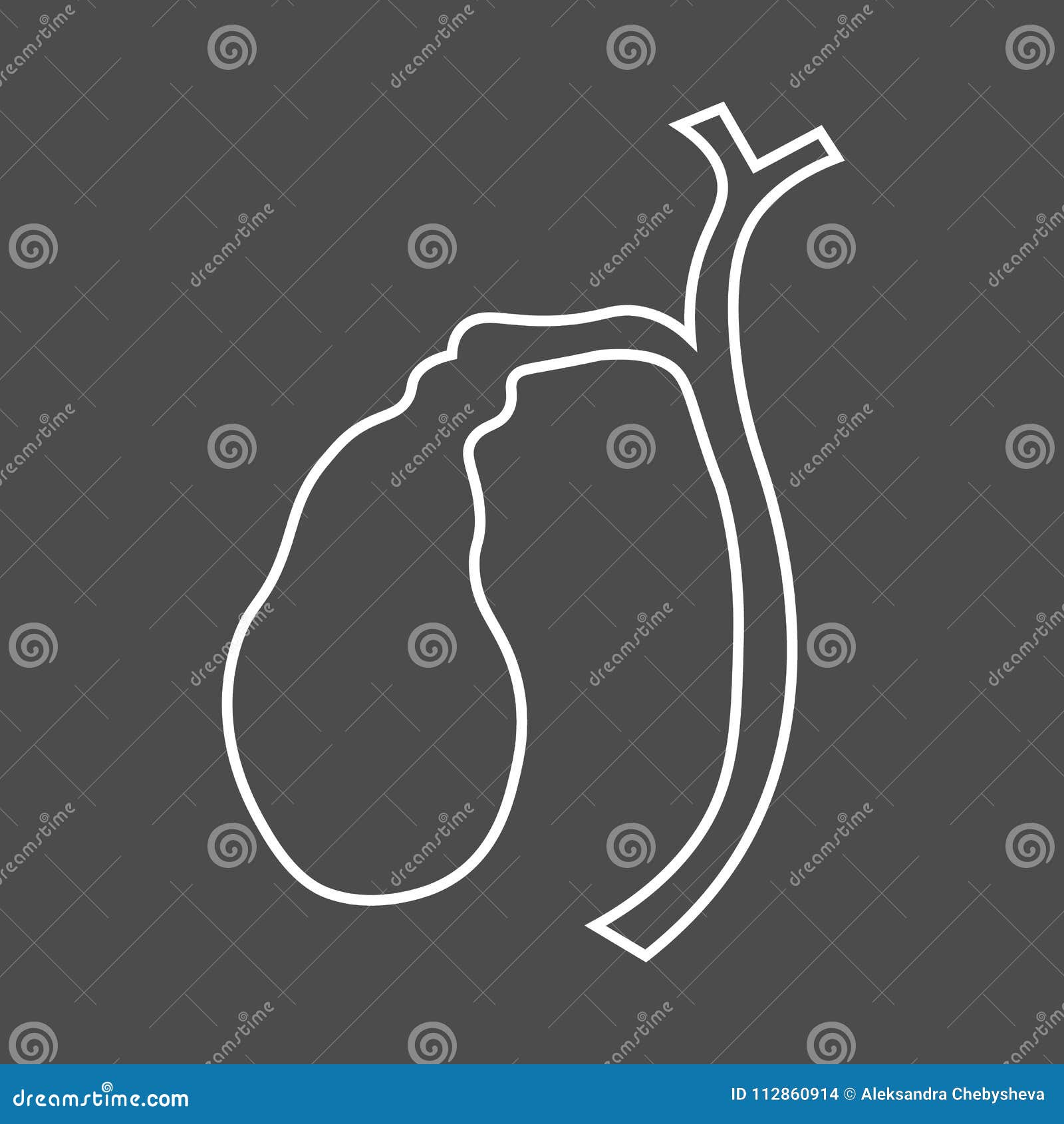 Illustration of Human Gallbladder Anatomy Line Icon. Stock Vector ...