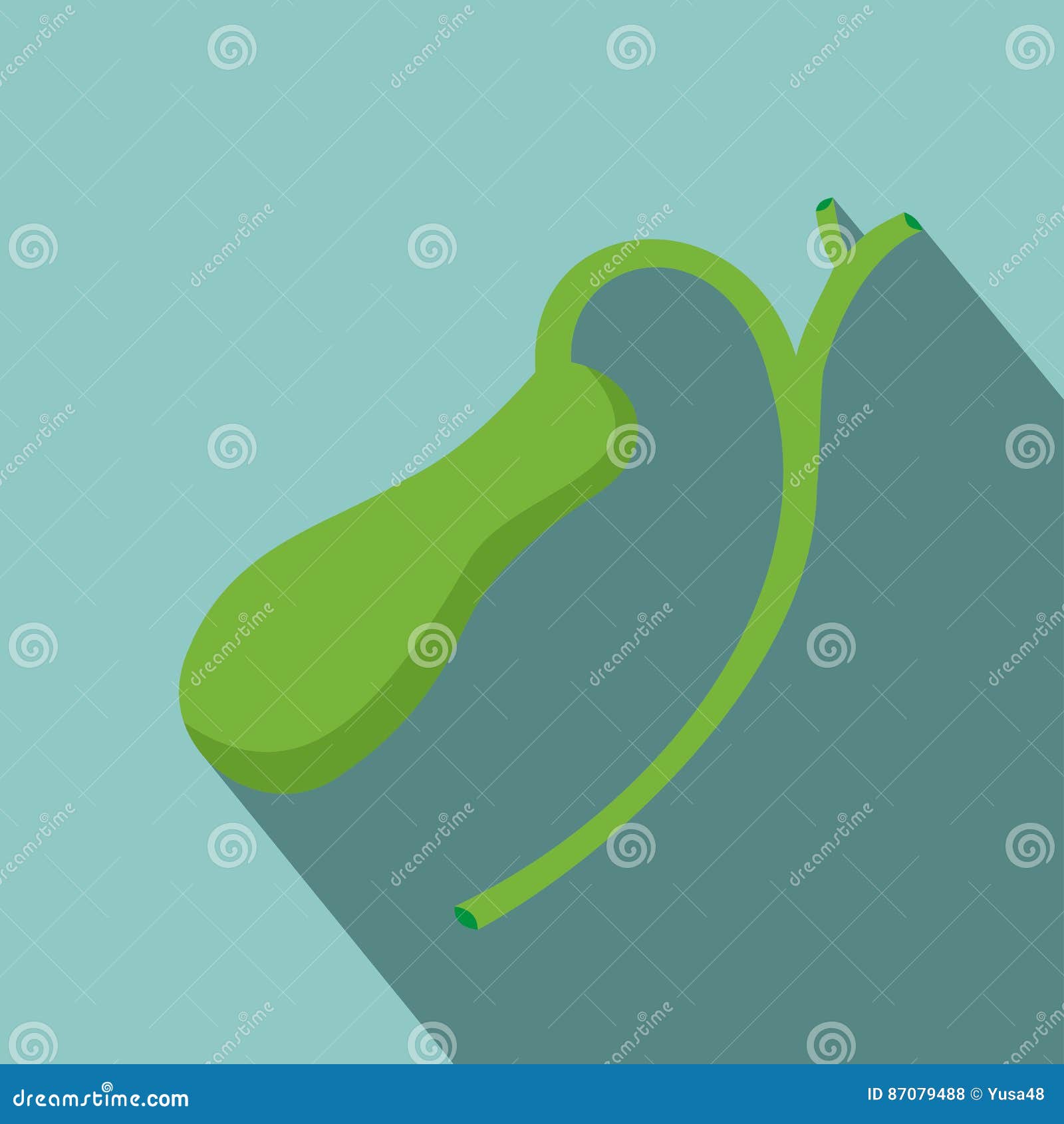 Gallbladder Anatomy Cartoon Vector | CartoonDealer.com #200252419