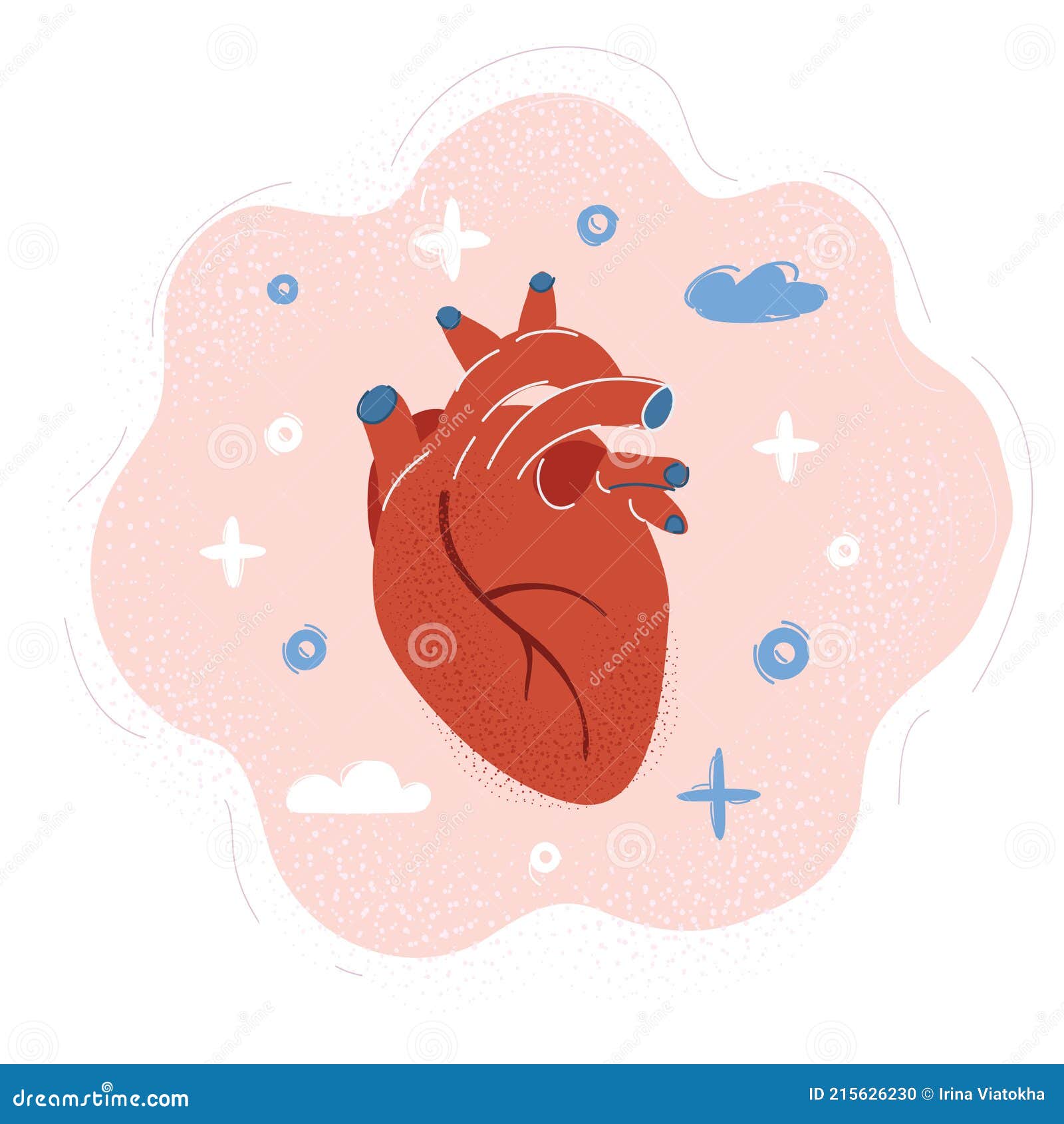Illustration of Human Heart Symbol. Stock Vector - Illustration of ...