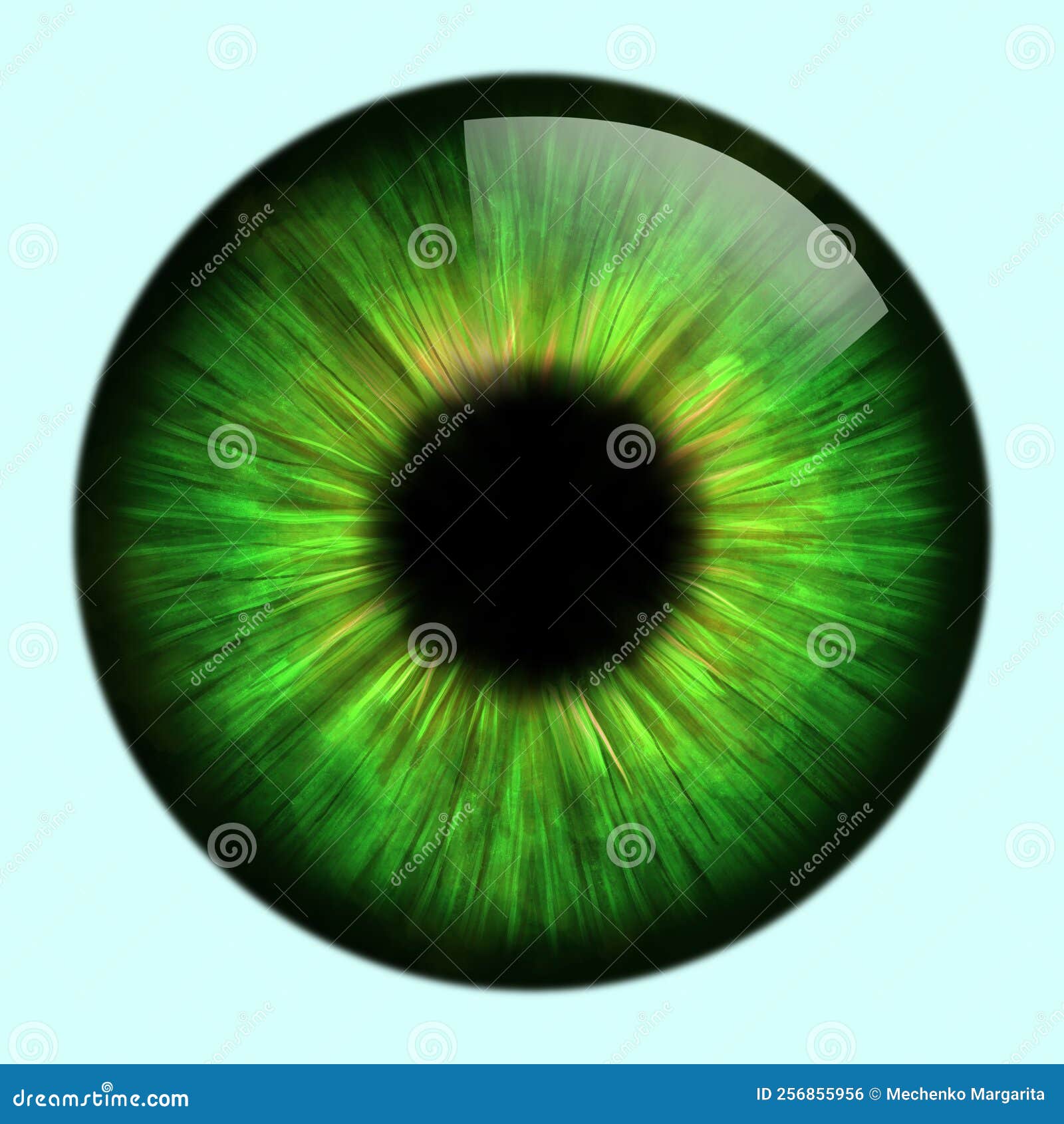 Illustration of a Human Iris. Digital Artwork Creative Graphic Design ...