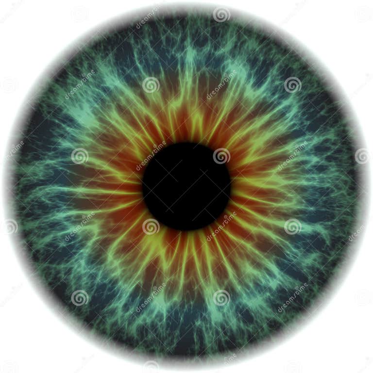 Illustration of a Human Iris Texture Stock Illustration - Illustration ...