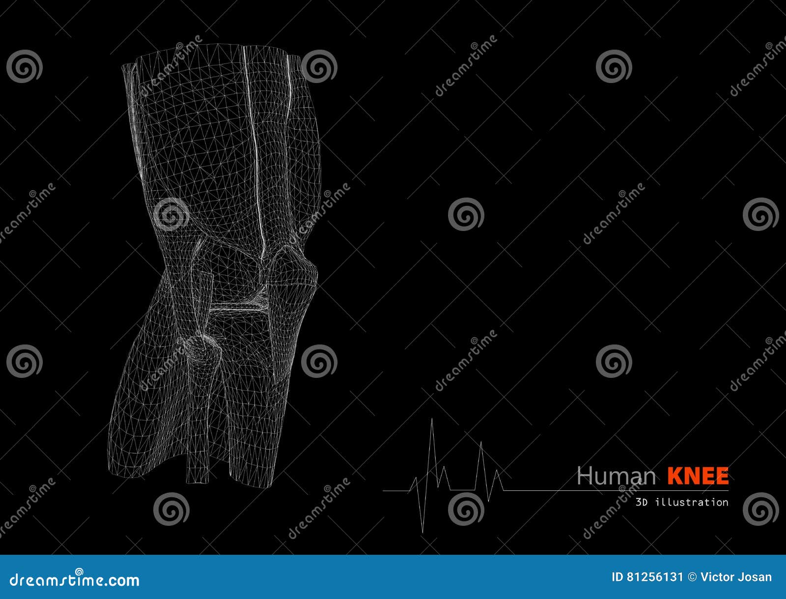Illustration of Human Knee Abstract Scientific Background Stock ...