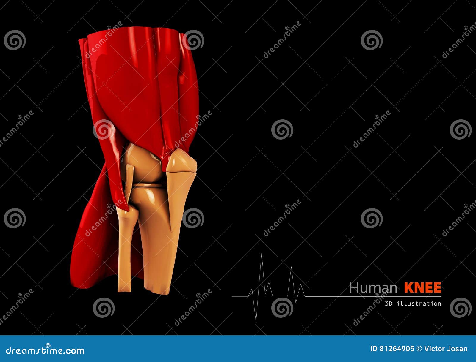 Illustration of Human Knee Abstract Scientific Background Stock ...