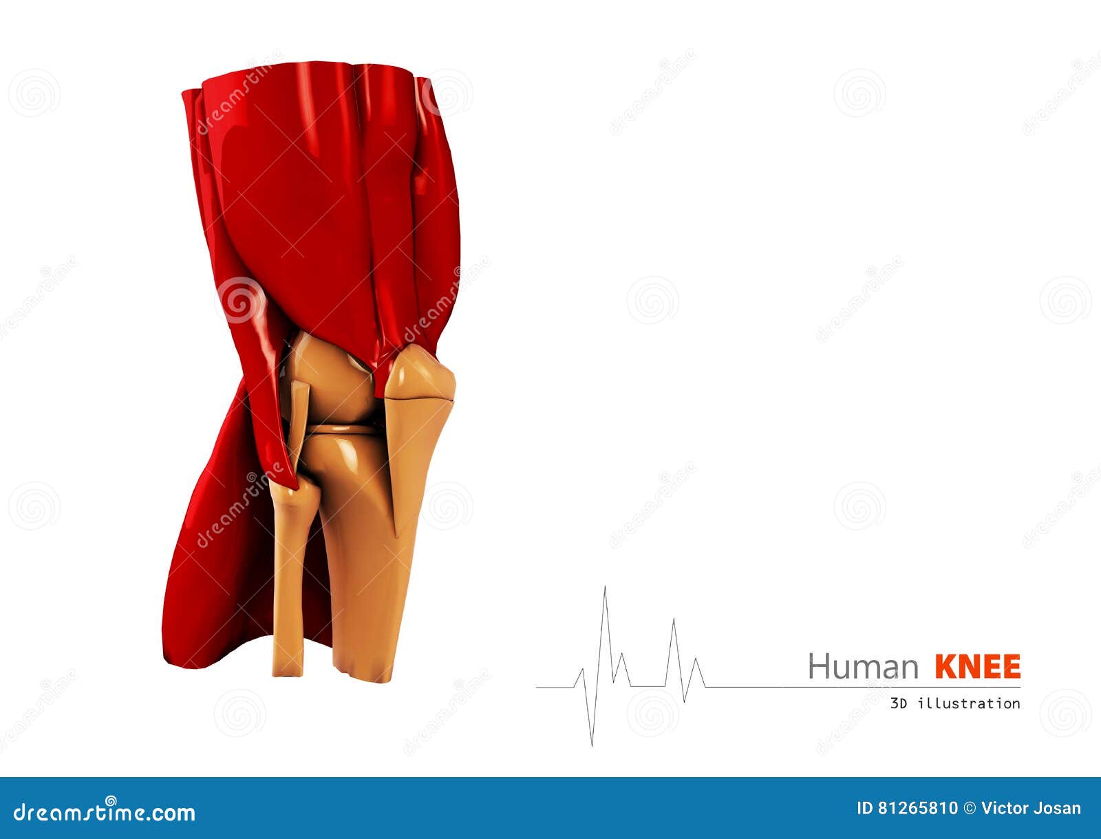 Illustration of Human Knee Abstract Scientific Background Stock ...