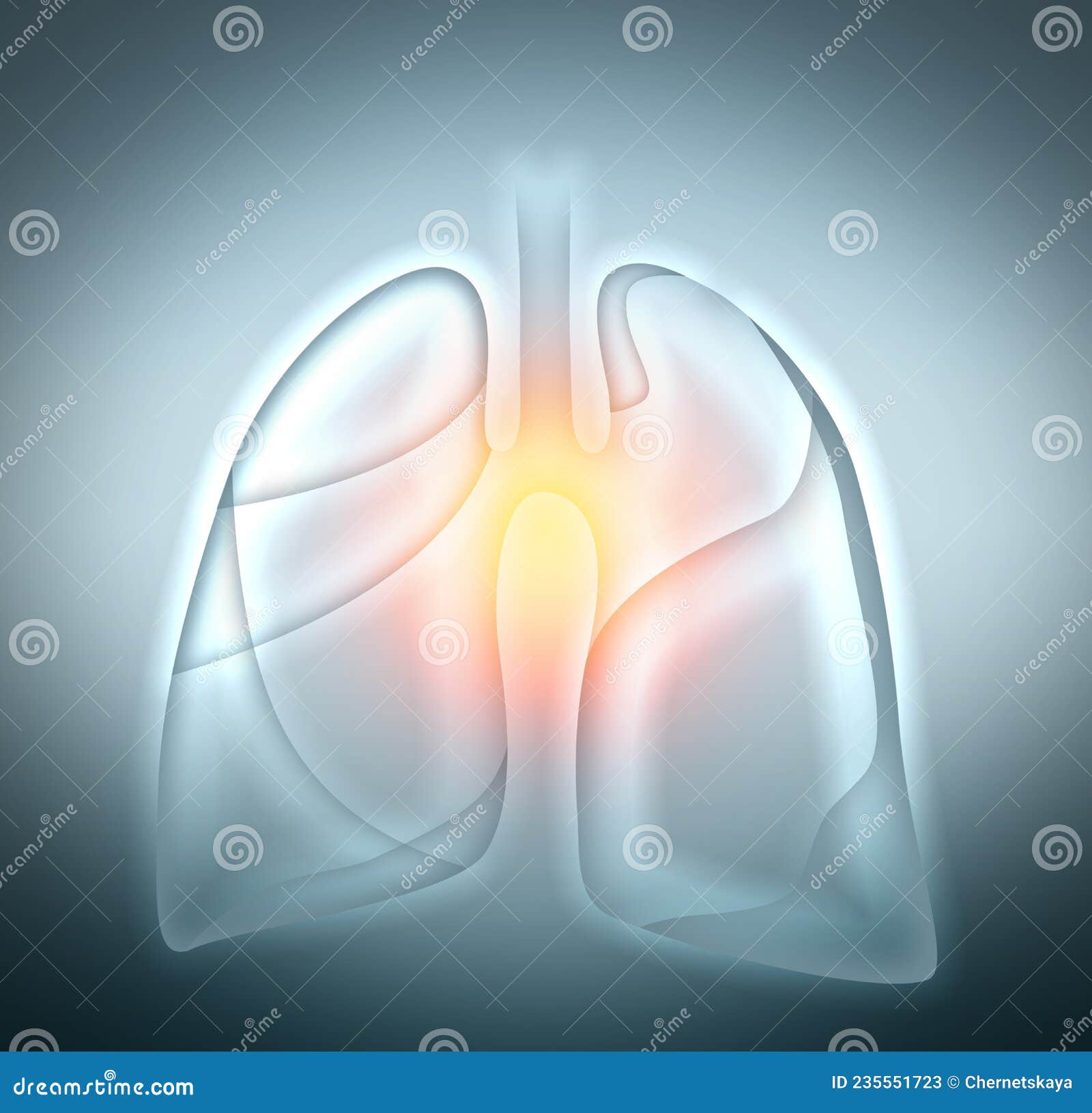 Illustration of Human Lungs on Light Grey Background Stock Illustration ...