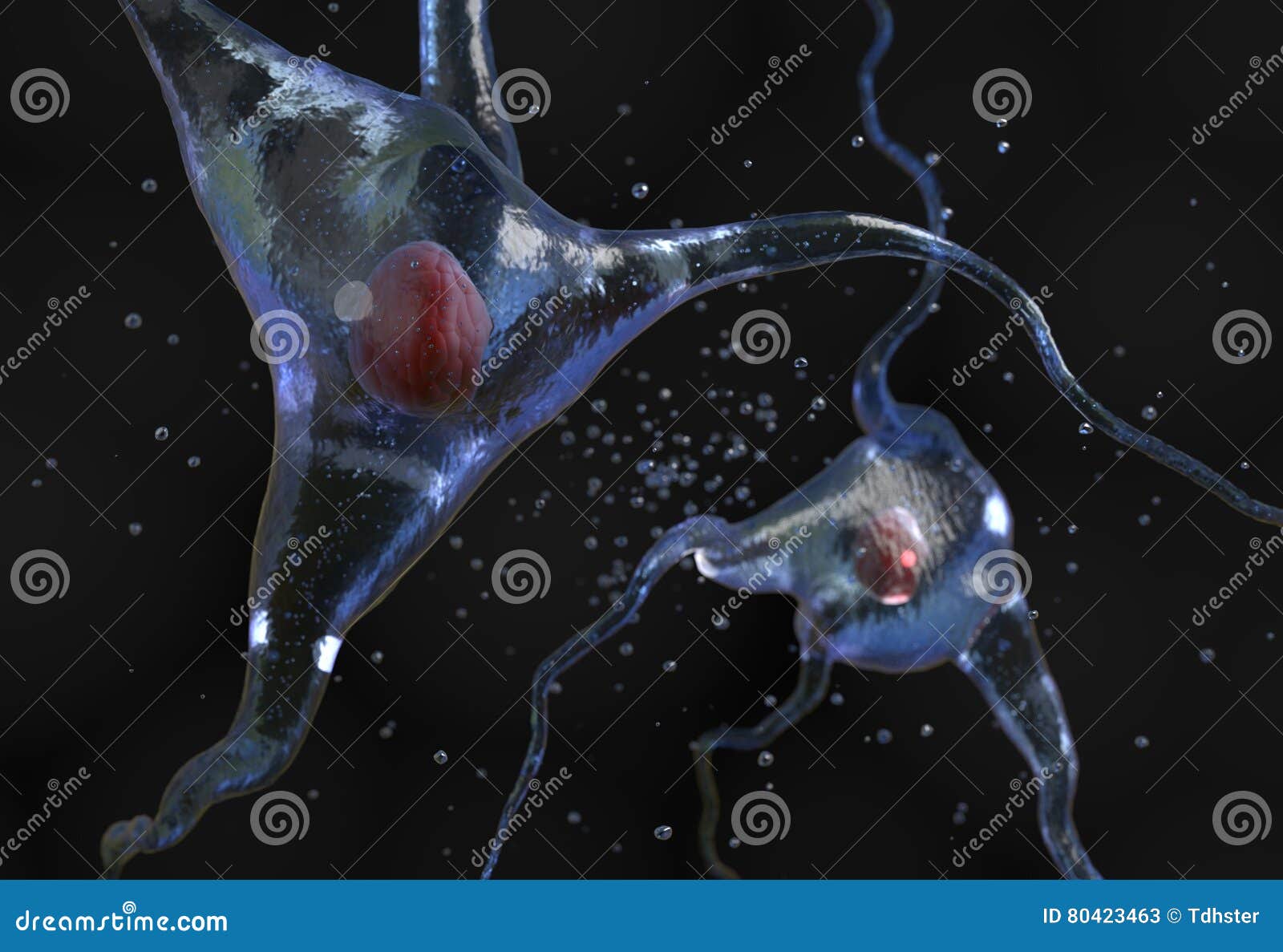 Illustration of the Human Nerve Cell 3d Illustration Stock Illustration ...