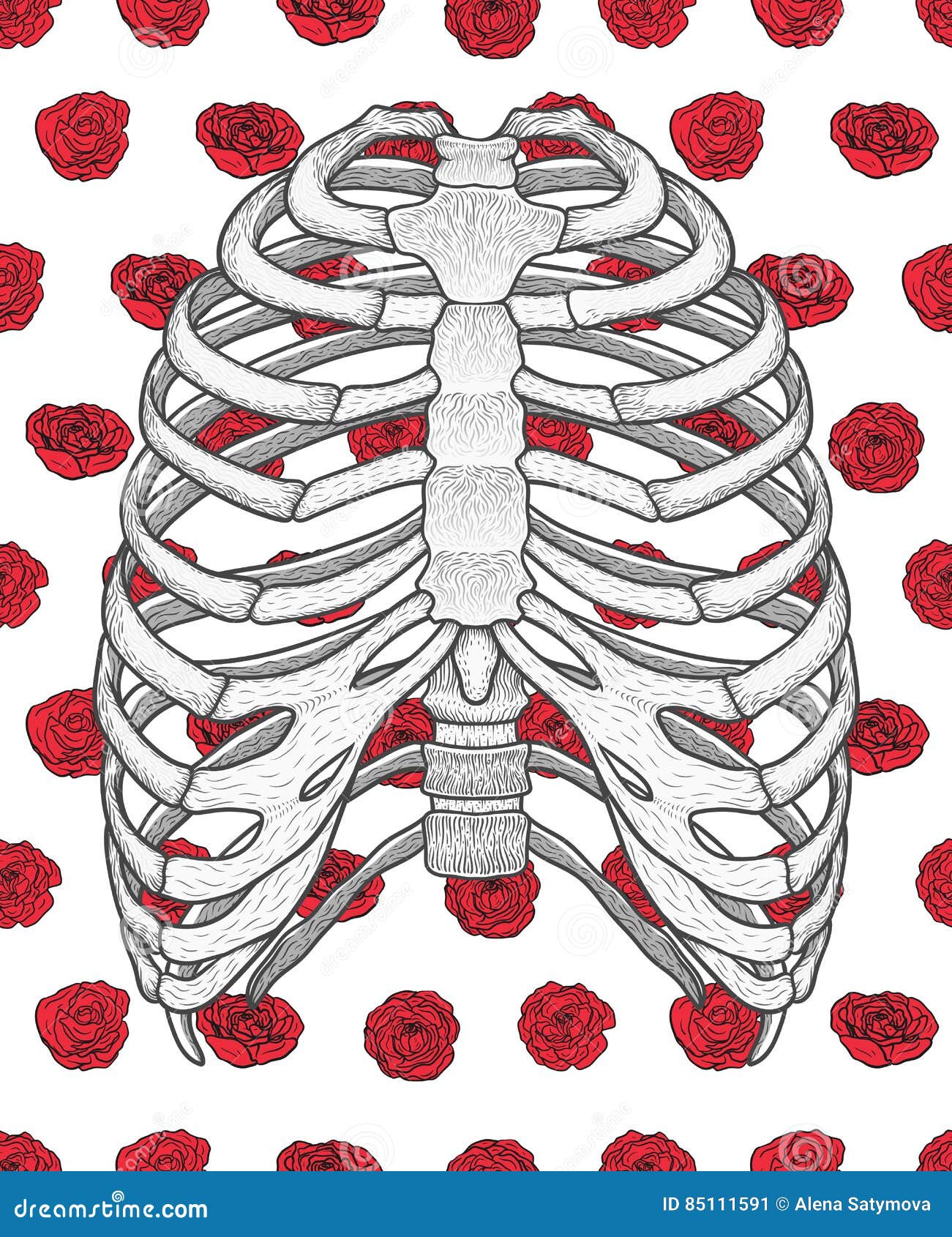 Illustration of Human Rib Cage. Line Art Style Stock Vector ...