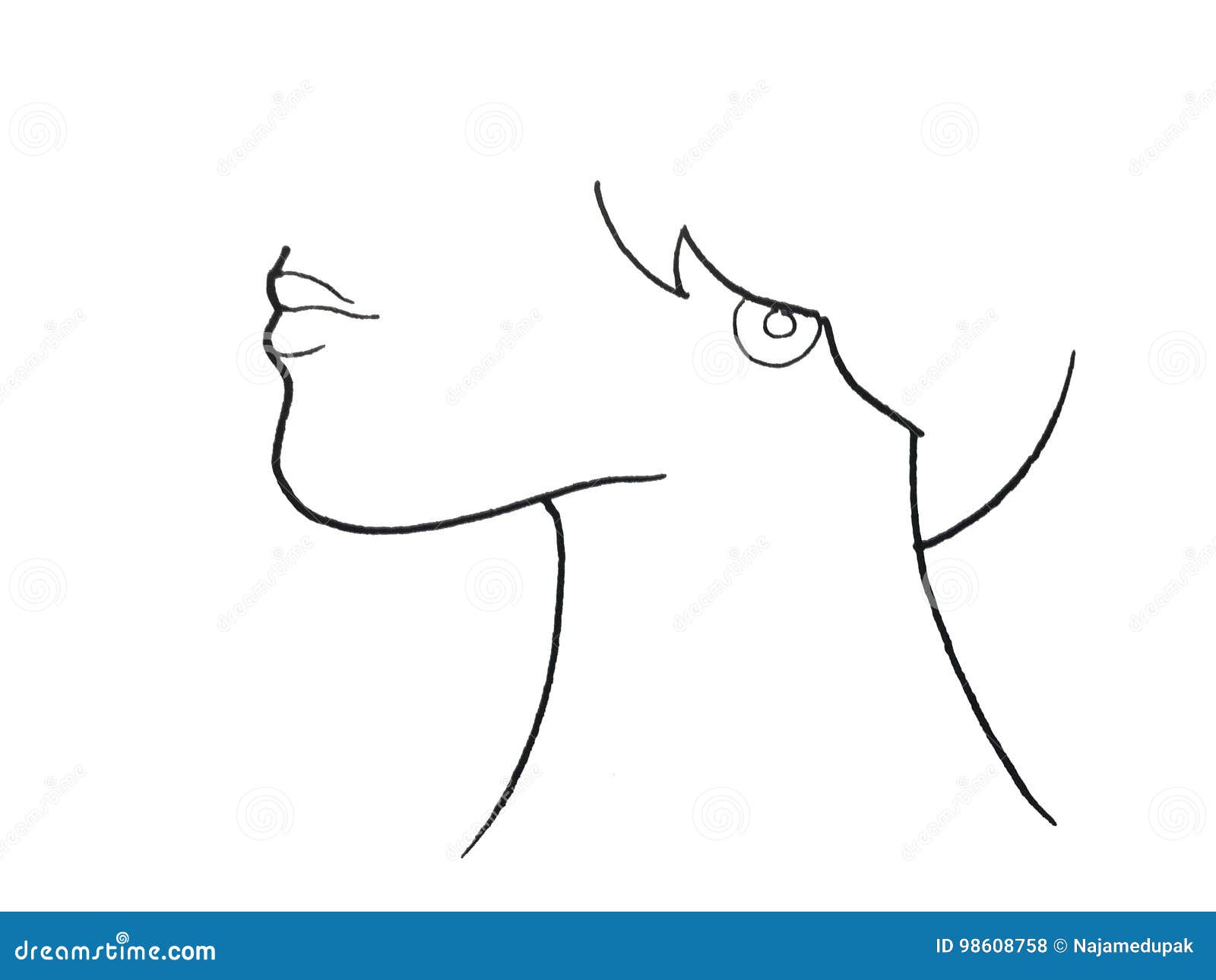 Illustration of Human Throat Stock Illustration - Illustration of ...