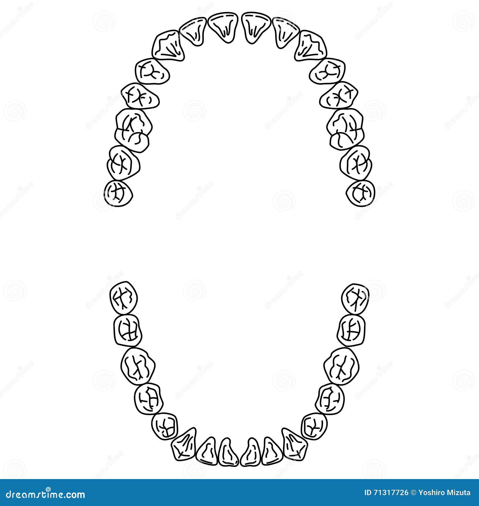 Illustration of Human Tooth Stock Vector - Illustration of dentist ...