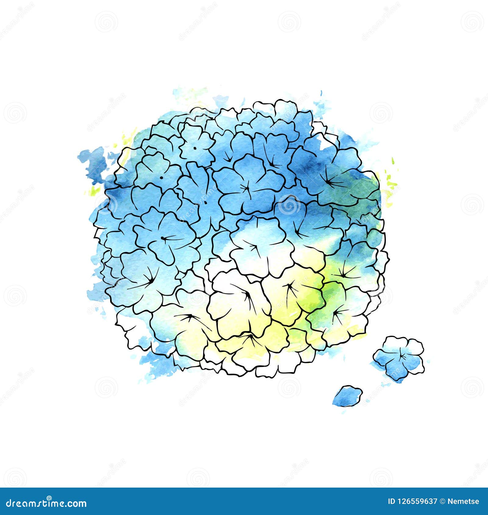 Beautiful blue hydrangea stock vector. Illustration of invitation ...