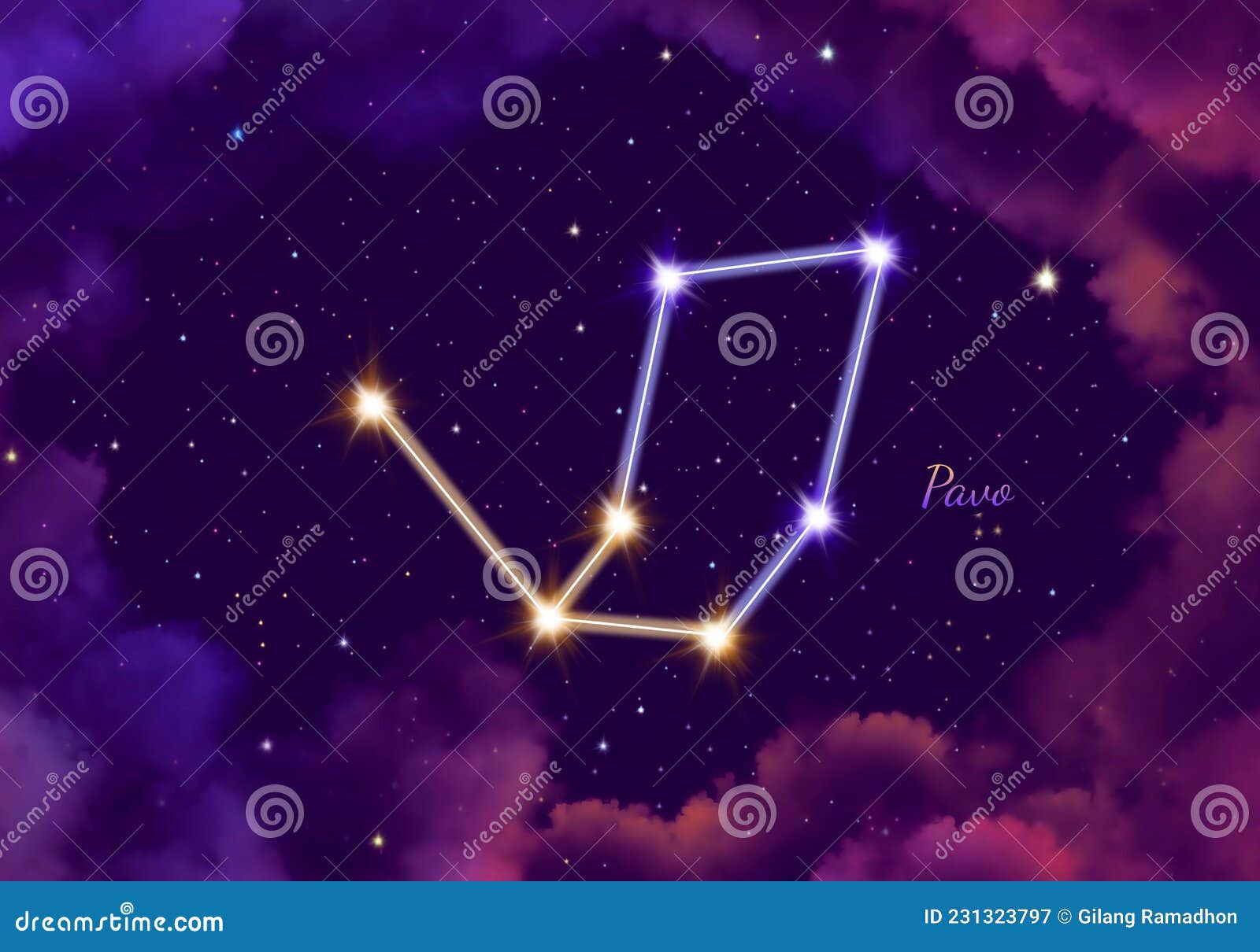 The Constellation Pavo Cartoon Vector | CartoonDealer.com #120375599