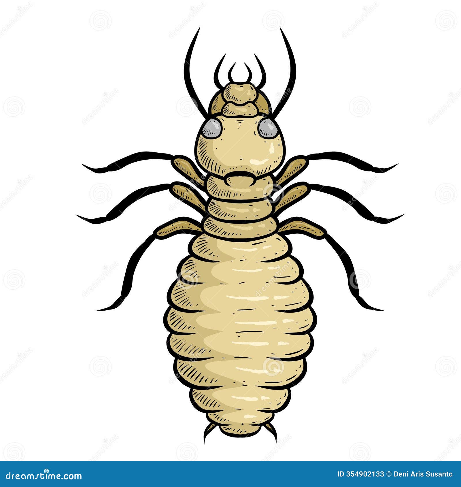 Illustration of Isoptera Isolated Stock Illustration - Illustration of ...