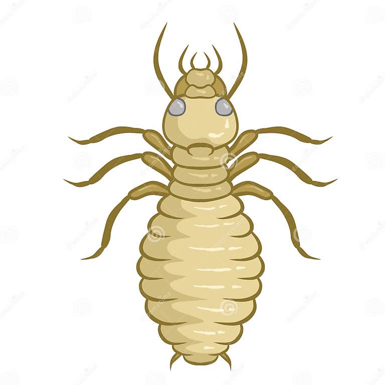 Illustration of Isoptera Isolated Stock Illustration - Illustration of ...