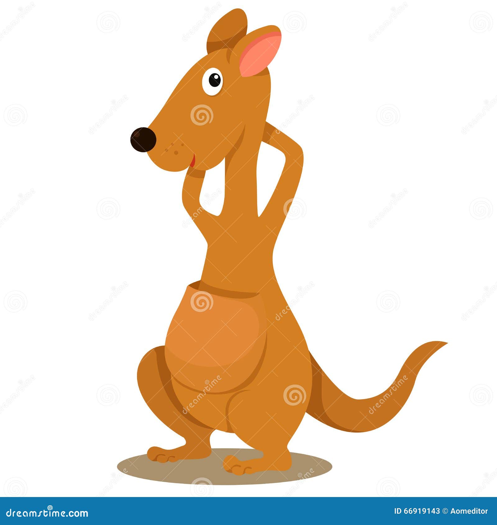 Kangaroo. Cute Vector Wallaby Illustration, Cartoon Kangaroo Or ...