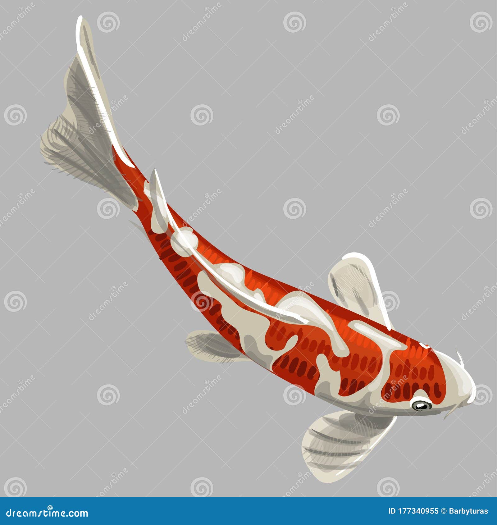 Illustration of Koi Carp, Coloring Page Stock Illustration ...