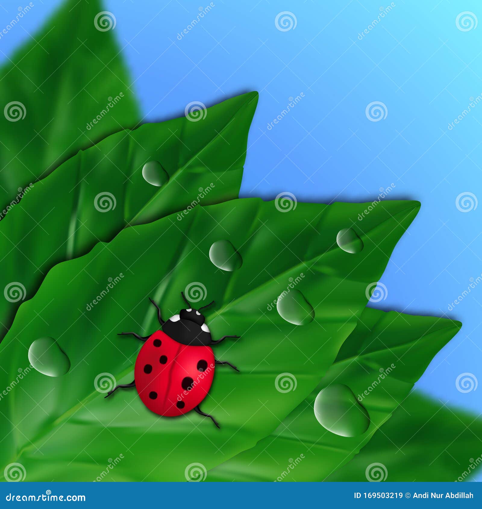 Illustration of Ladybug Insect Bug and Water Drops on the Leaves at ...