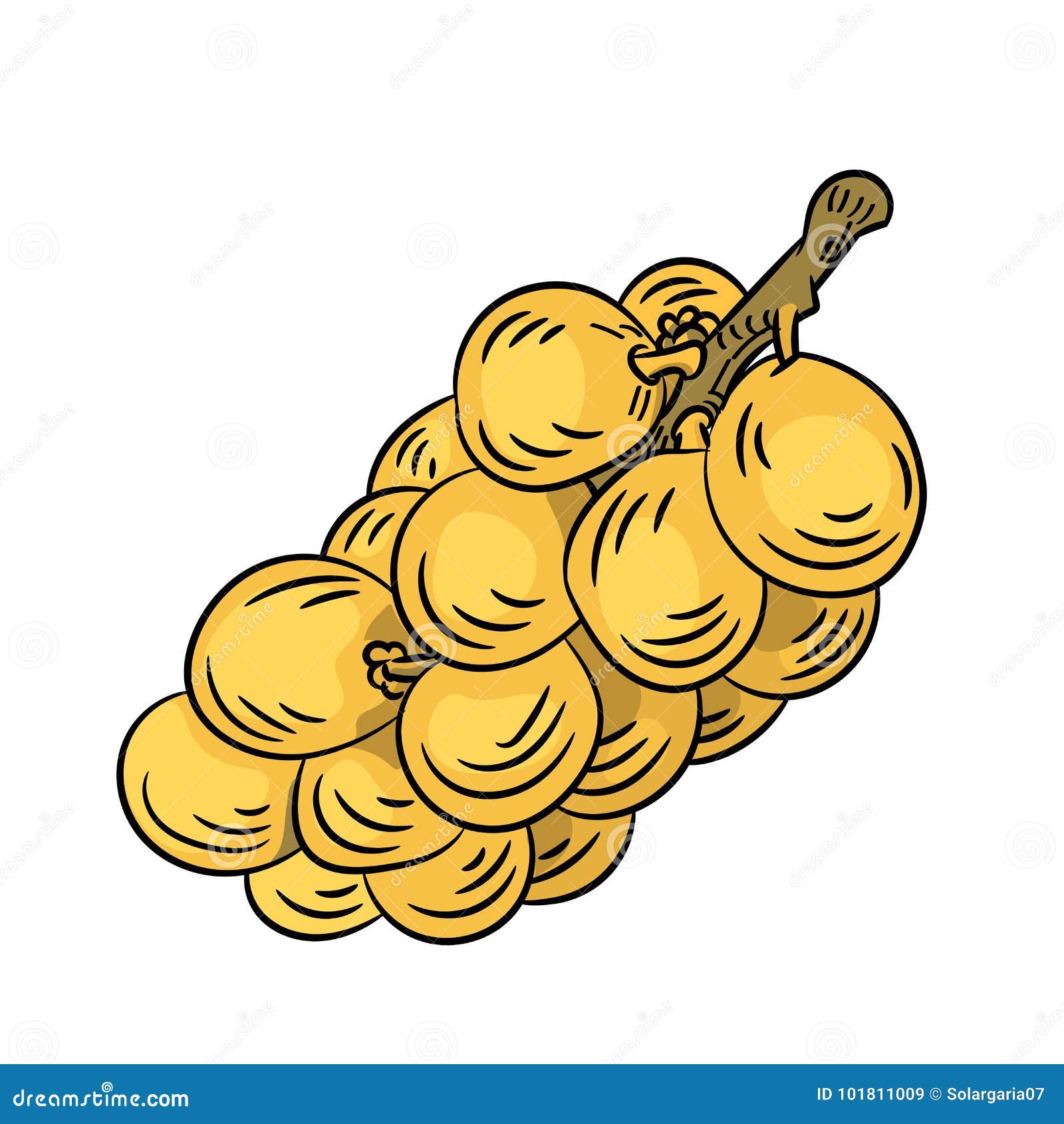 Illustration of Langsat -Vector Illustration Stock Vector ...