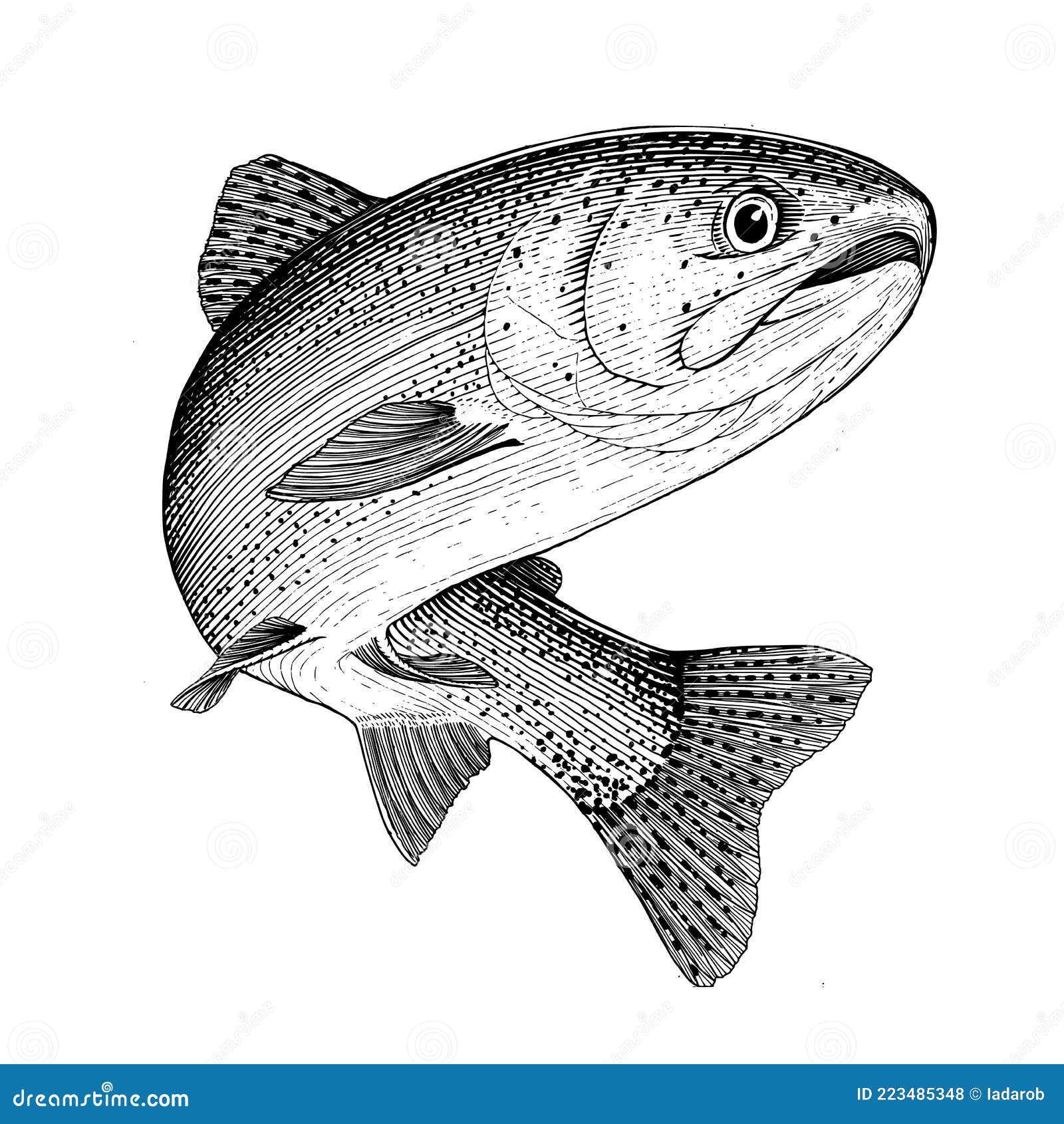 Illustration of a Leaping Rainbow Trout Stock Vector - Illustration of ...