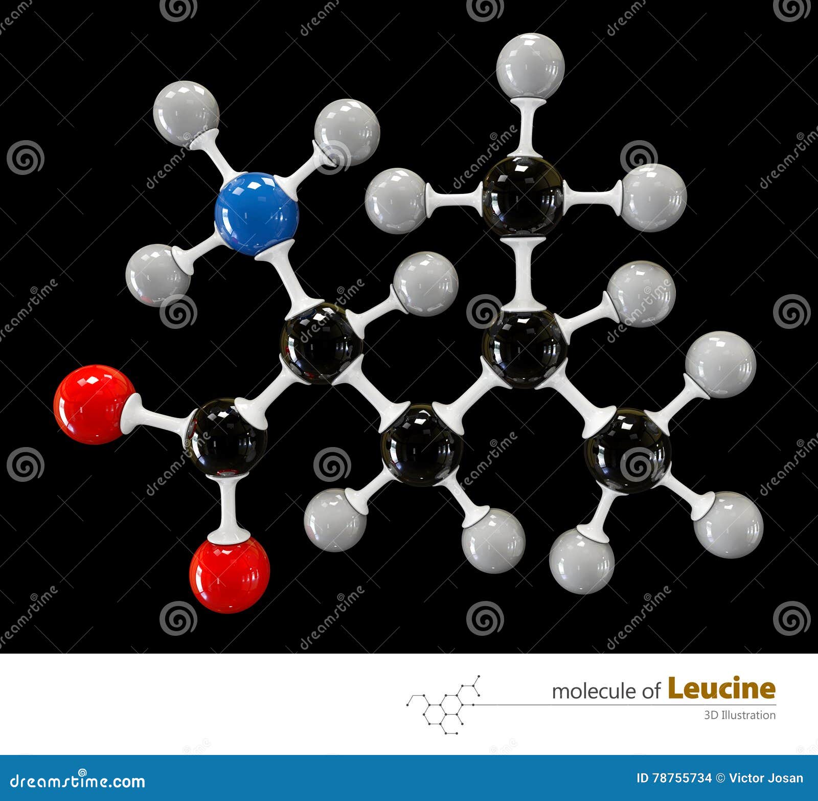 Leucine L- Leucine, Leu, L Molecule. It Is Essential Amino Acid. Sheet ...