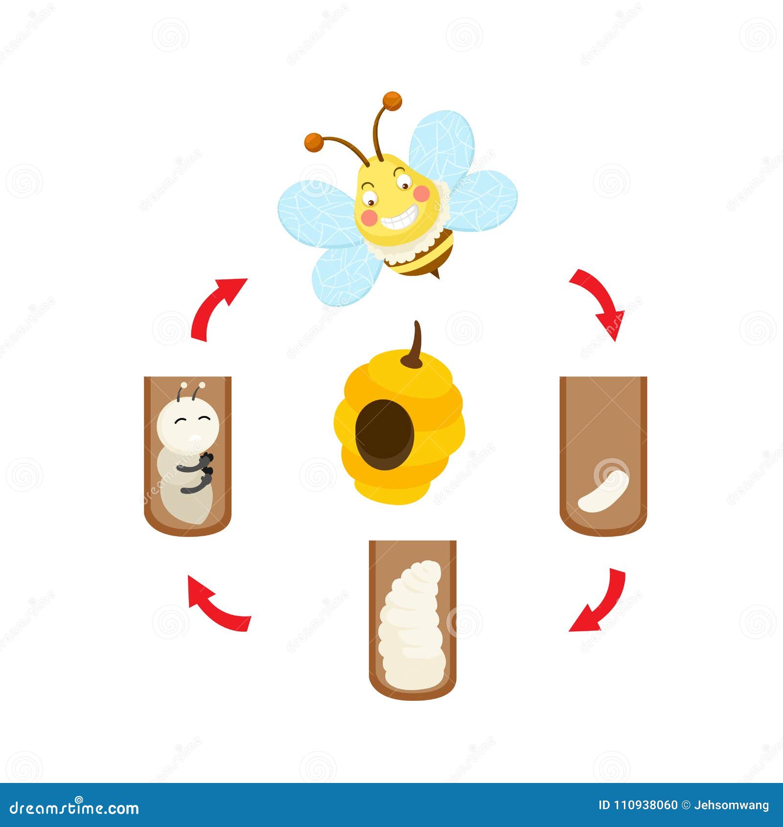 Illustration Life Cycle Bee Stock Vector - Illustration of animal ...