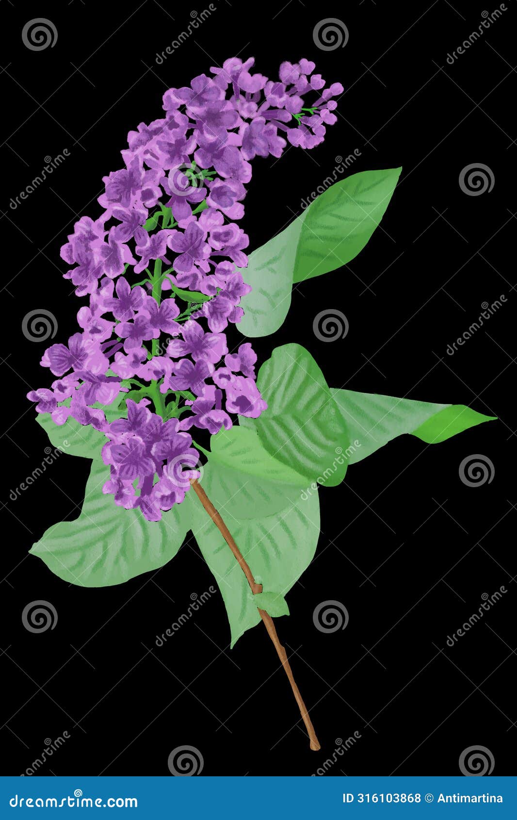 Lilac Blossom Branch Leaves And Flower Outline Drawing Cartoon Vector ...